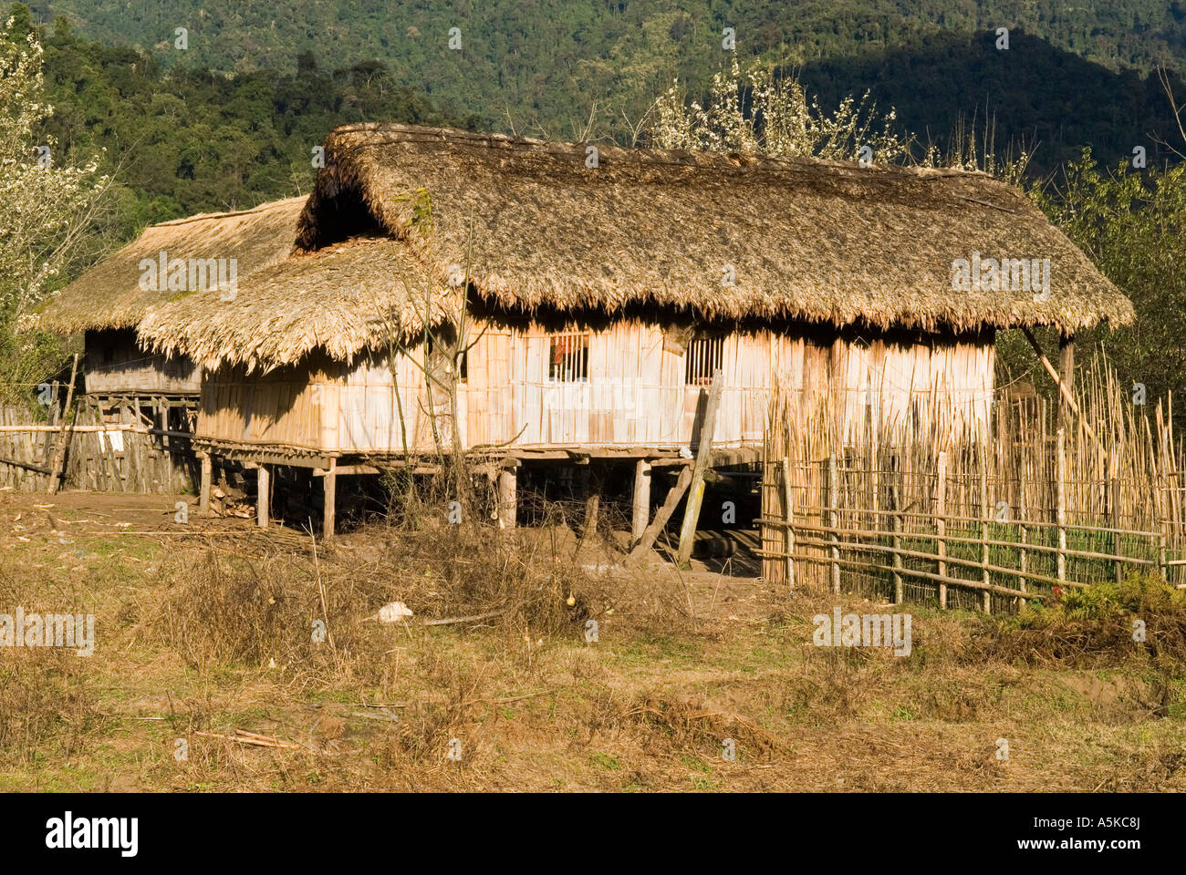 Traditional house kachin state myanmar hi-res stock photography and ...
