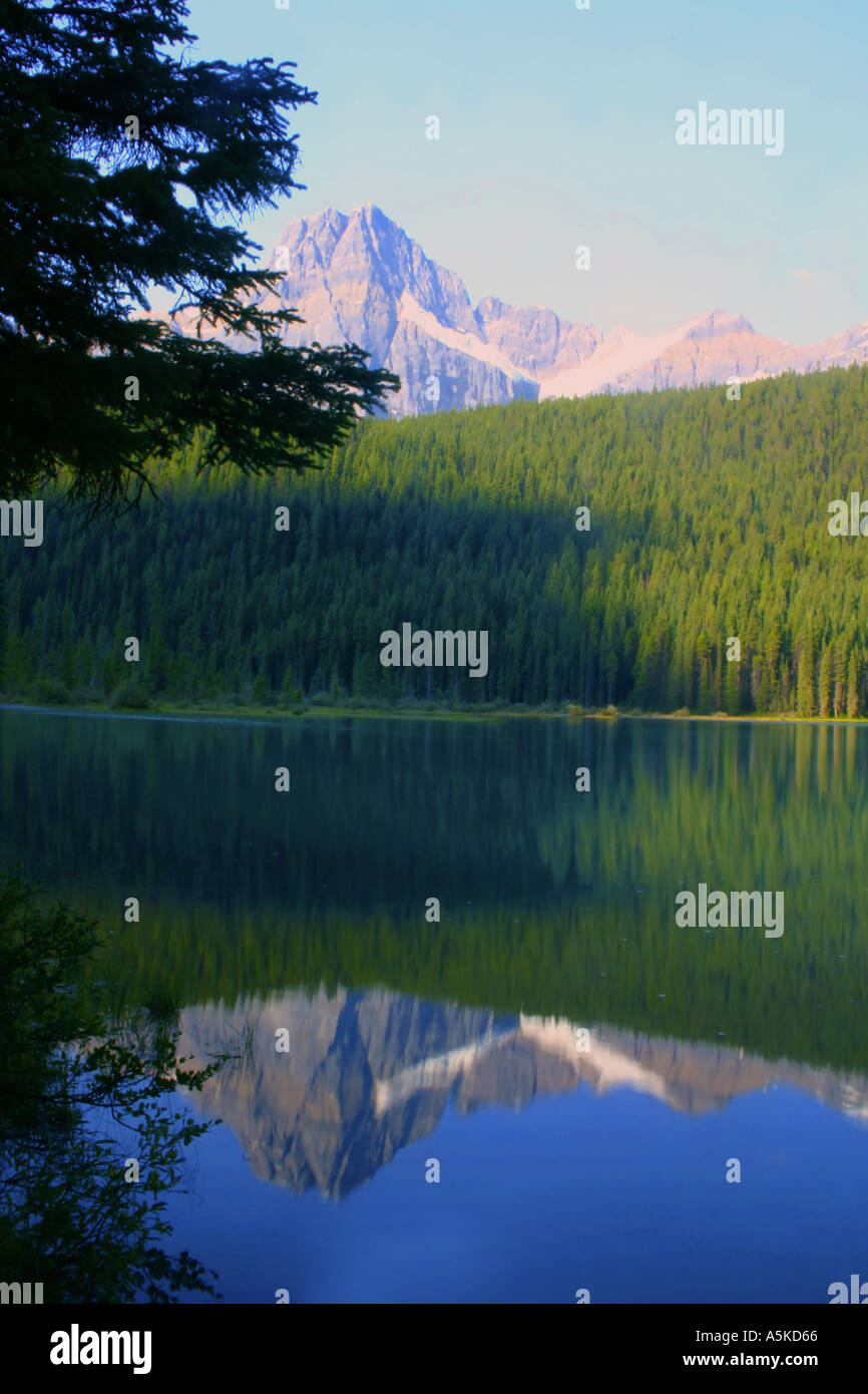Vertical Waterfowl Lake Canadian Rocky Mountains Banff National Park ...
