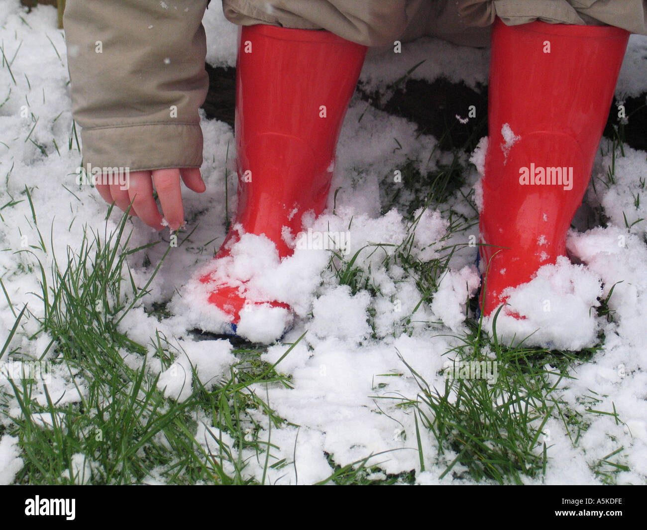 Red wellie hi-res stock photography and images - Alamy