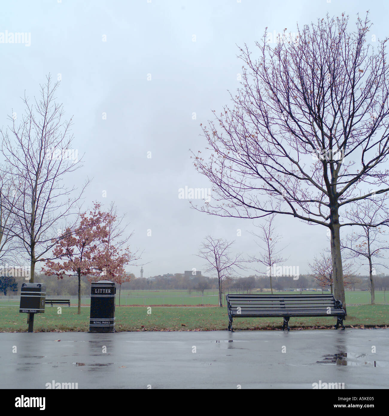 Wet tree bench Stock Photo - Alamy
