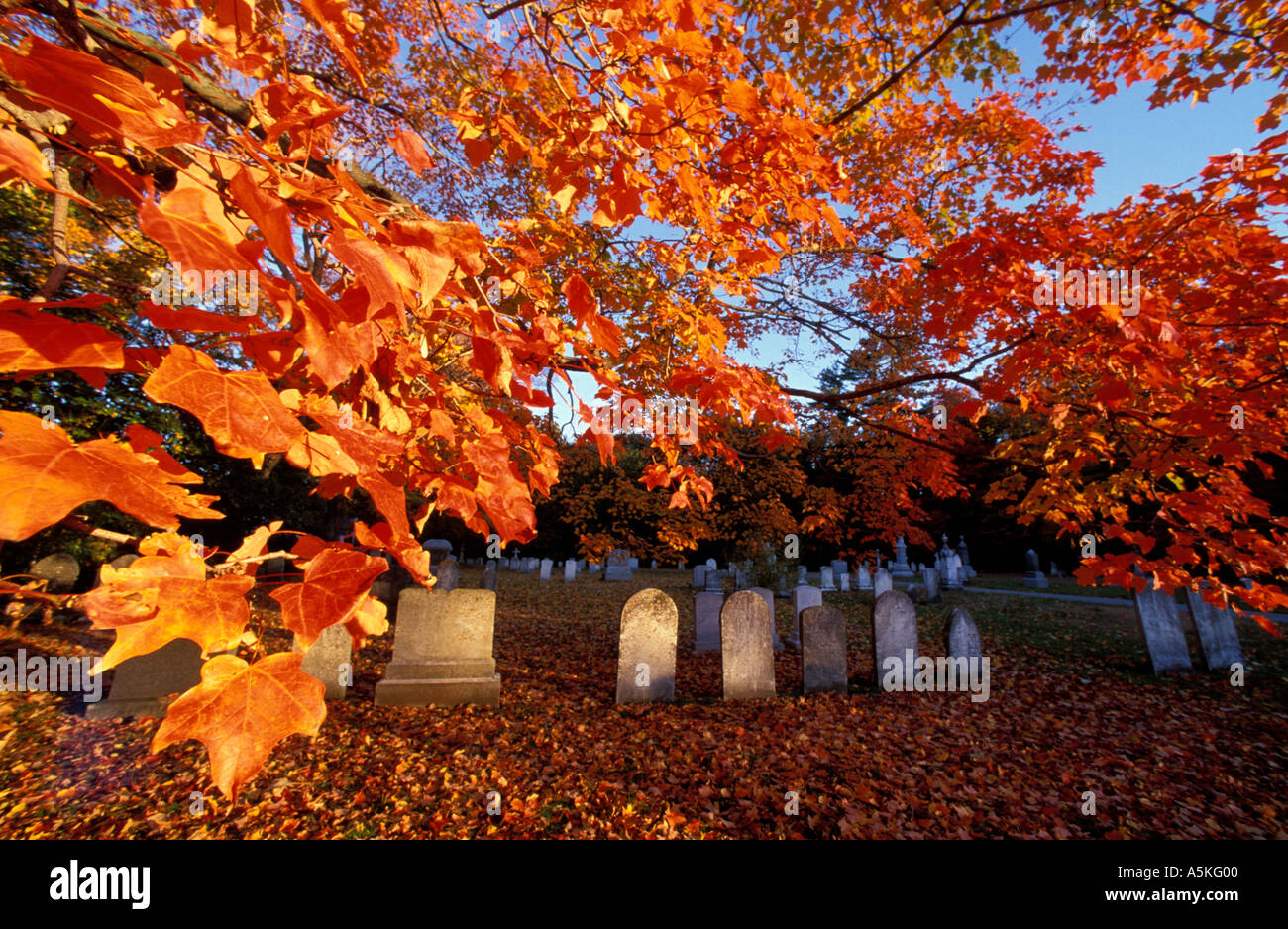 Colorful fall foliage in cemetery Stock Photo - Alamy