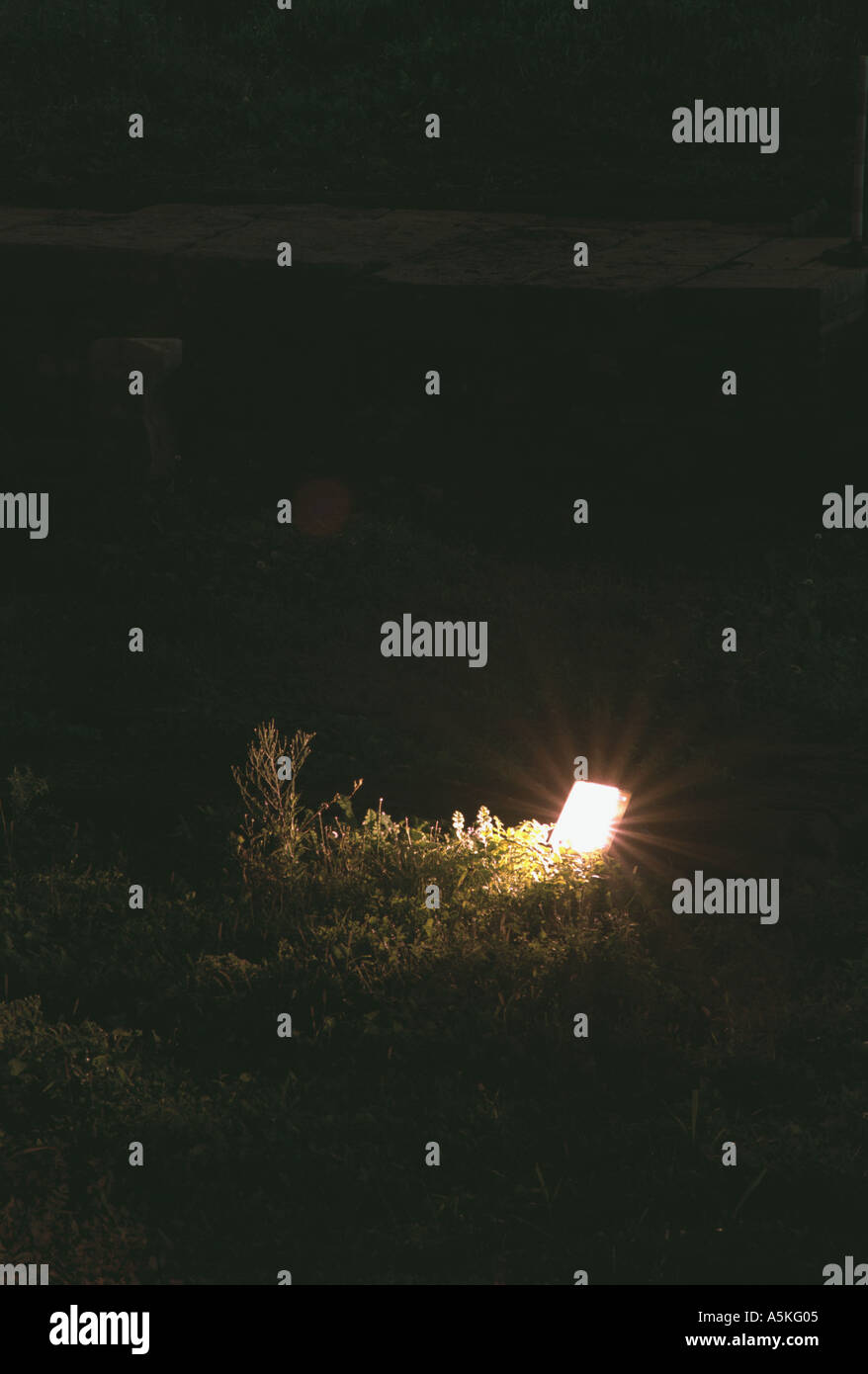 security spotlight on in the middle of a dark lawn Stock Photo - Alamy