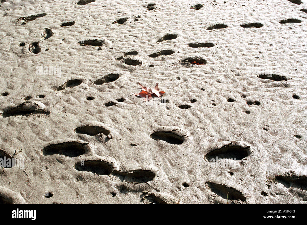 Man sinking quicksand hi-res stock photography and images - Alamy