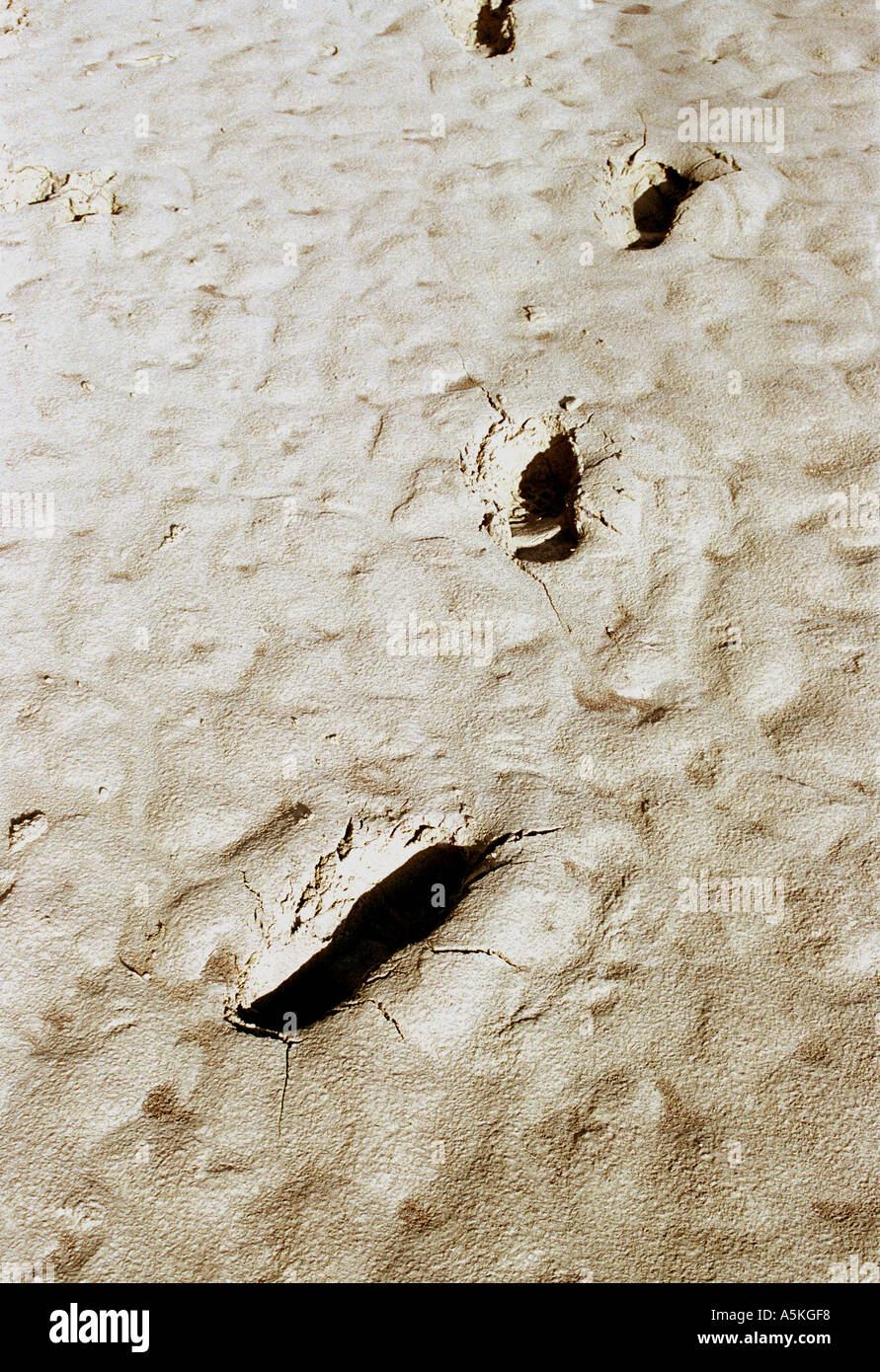 three footsteps in sand mud Stock Photo - Alamy