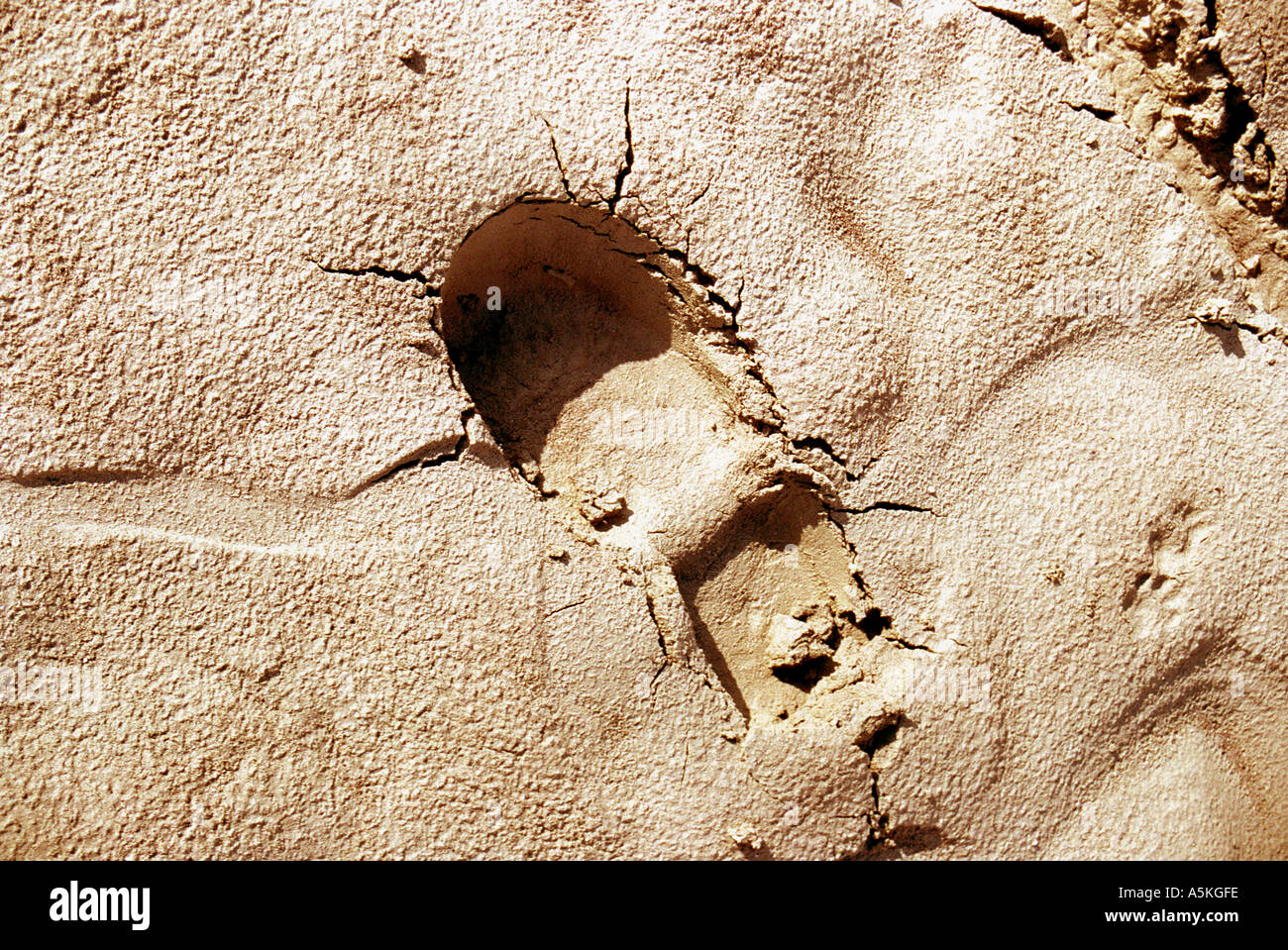 one footstep in sand mud Stock Photo - Alamy