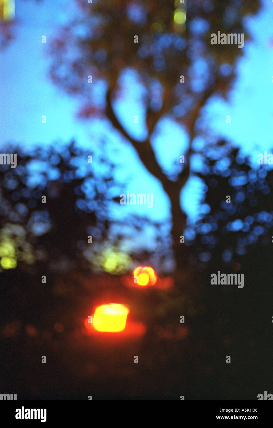 colourful yellow spotlight on lawn in bushes abstract Stock Photo - Alamy