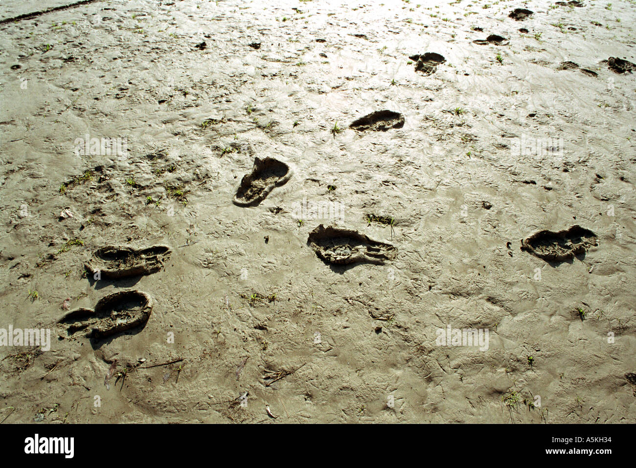 footsteps in mud converging two people Stock Photo - Alamy