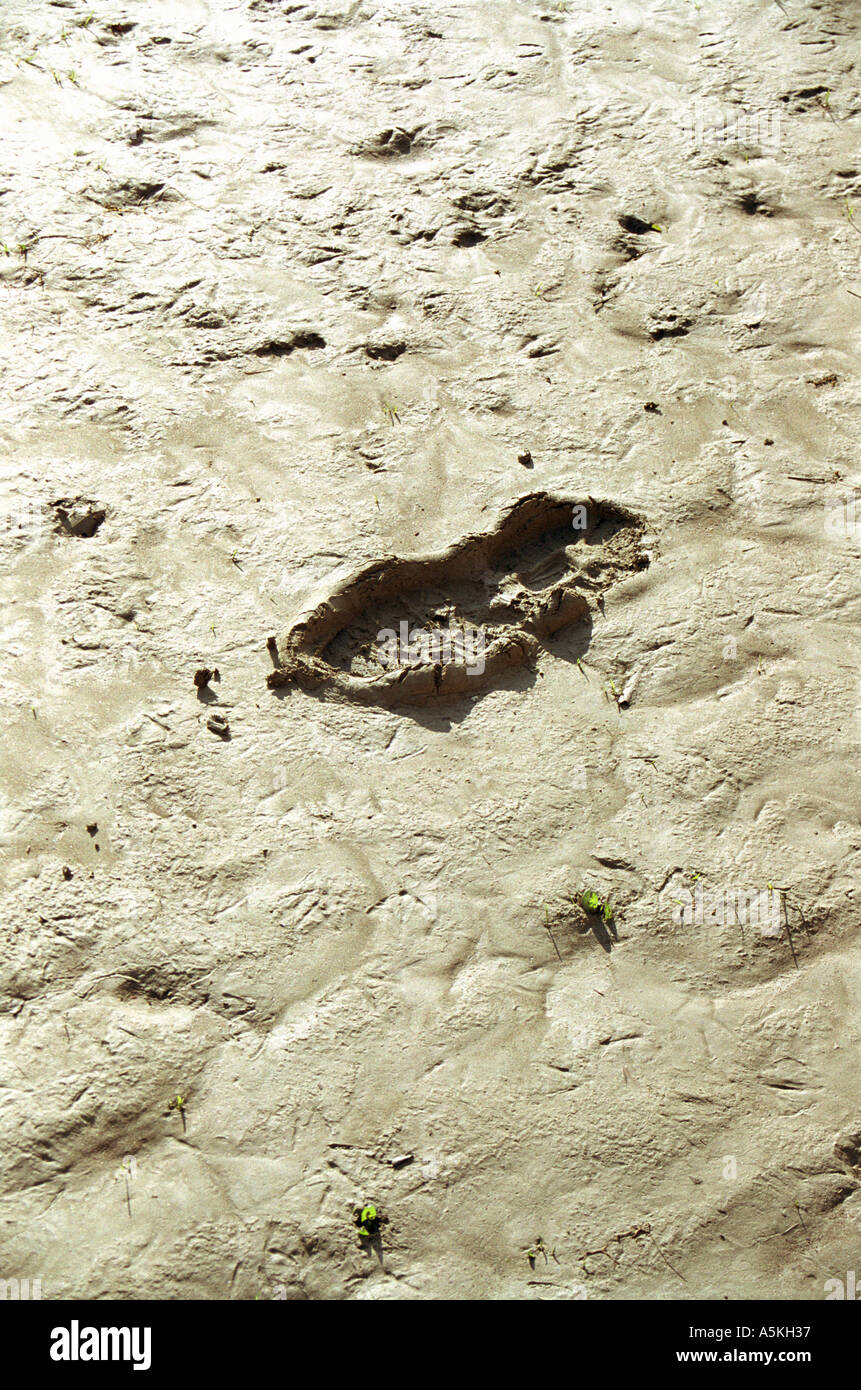 one footstep in sand mud Stock Photo - Alamy