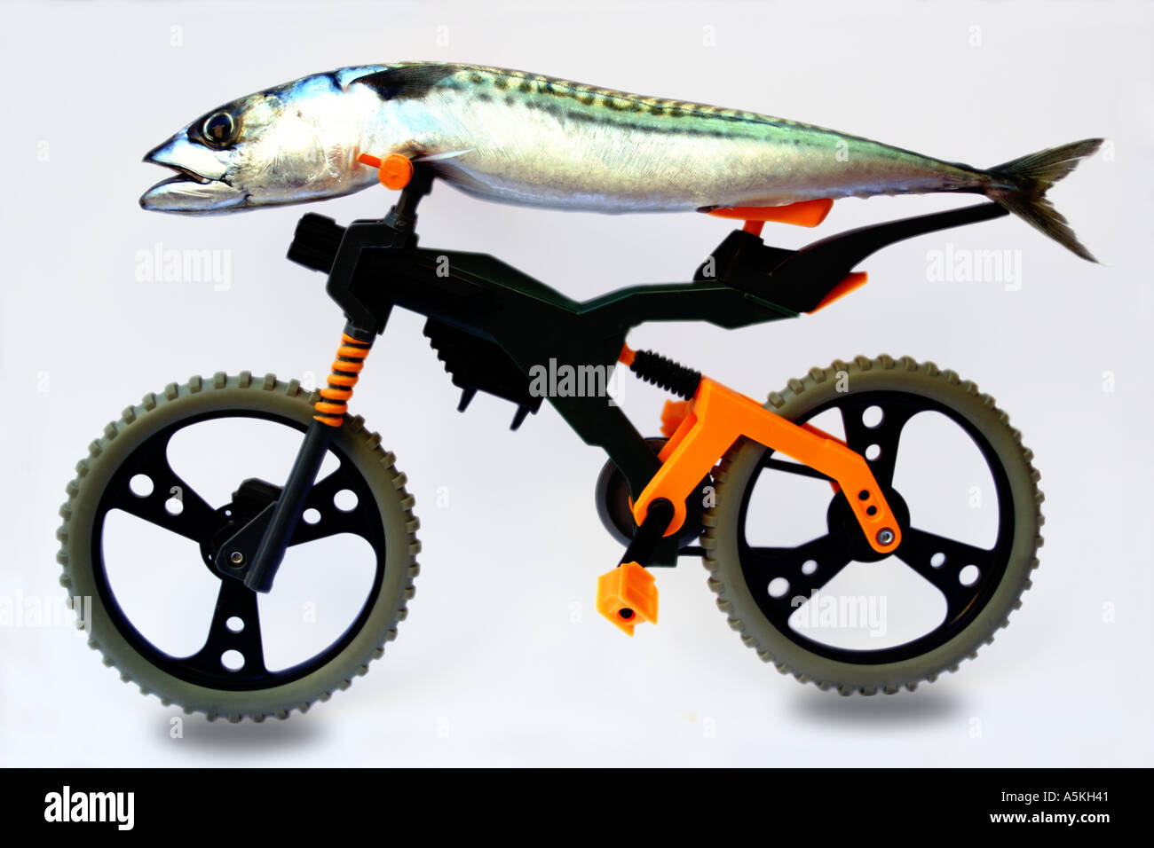 Irina dunn hi-res stock photography and images - Alamy