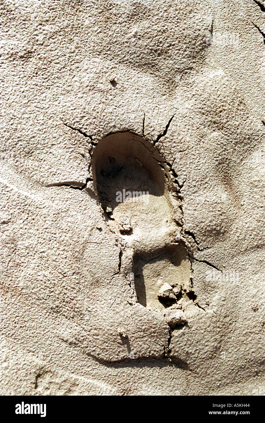 one footstep in sand mud Stock Photo - Alamy