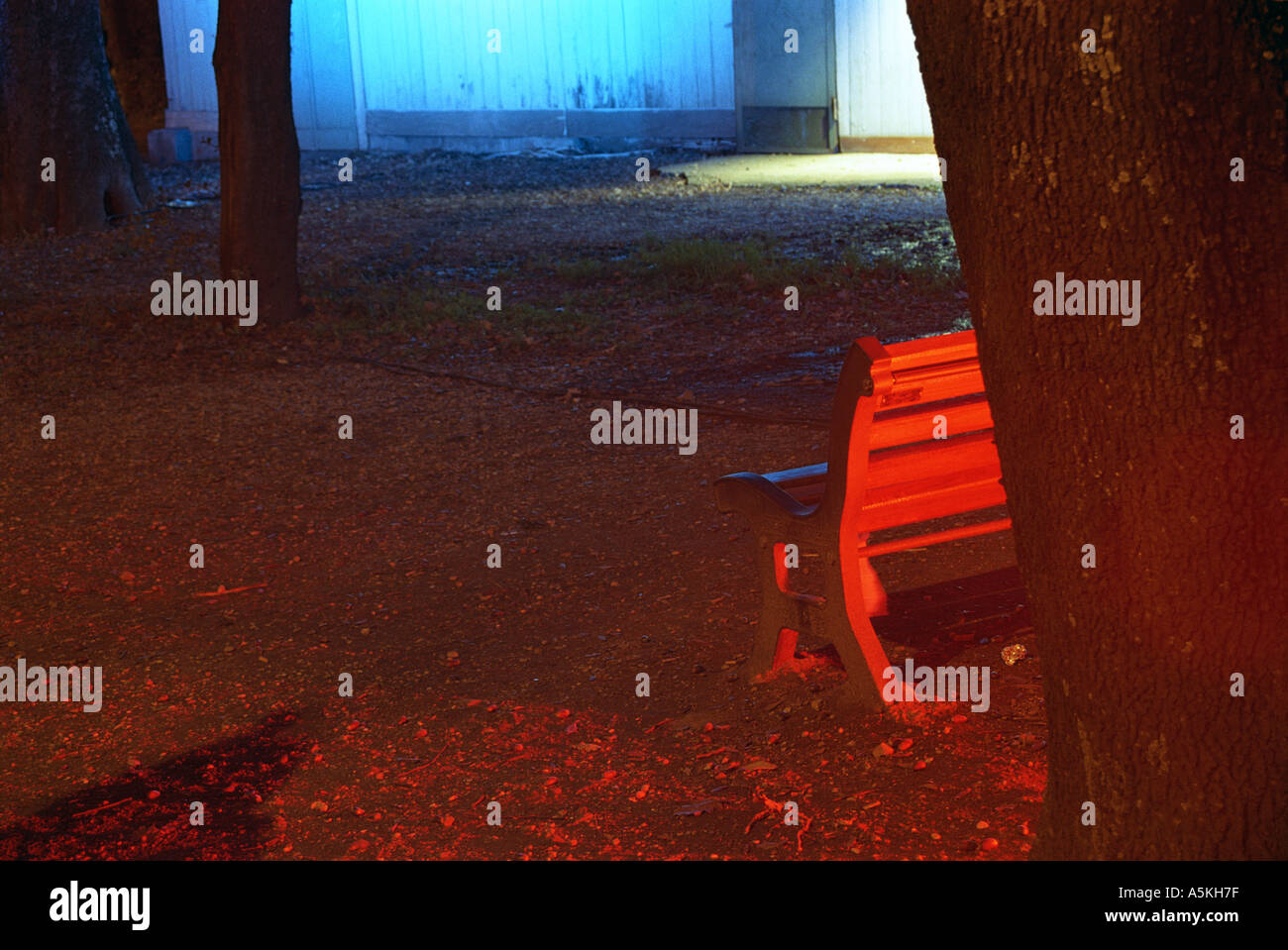 bench in park lit with red light Stock Photo - Alamy