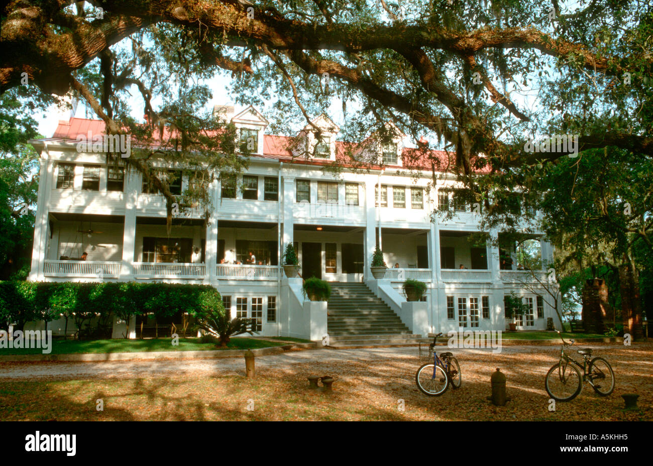 The Greyfield Inn facade is seen through the sprawling branches of the ...