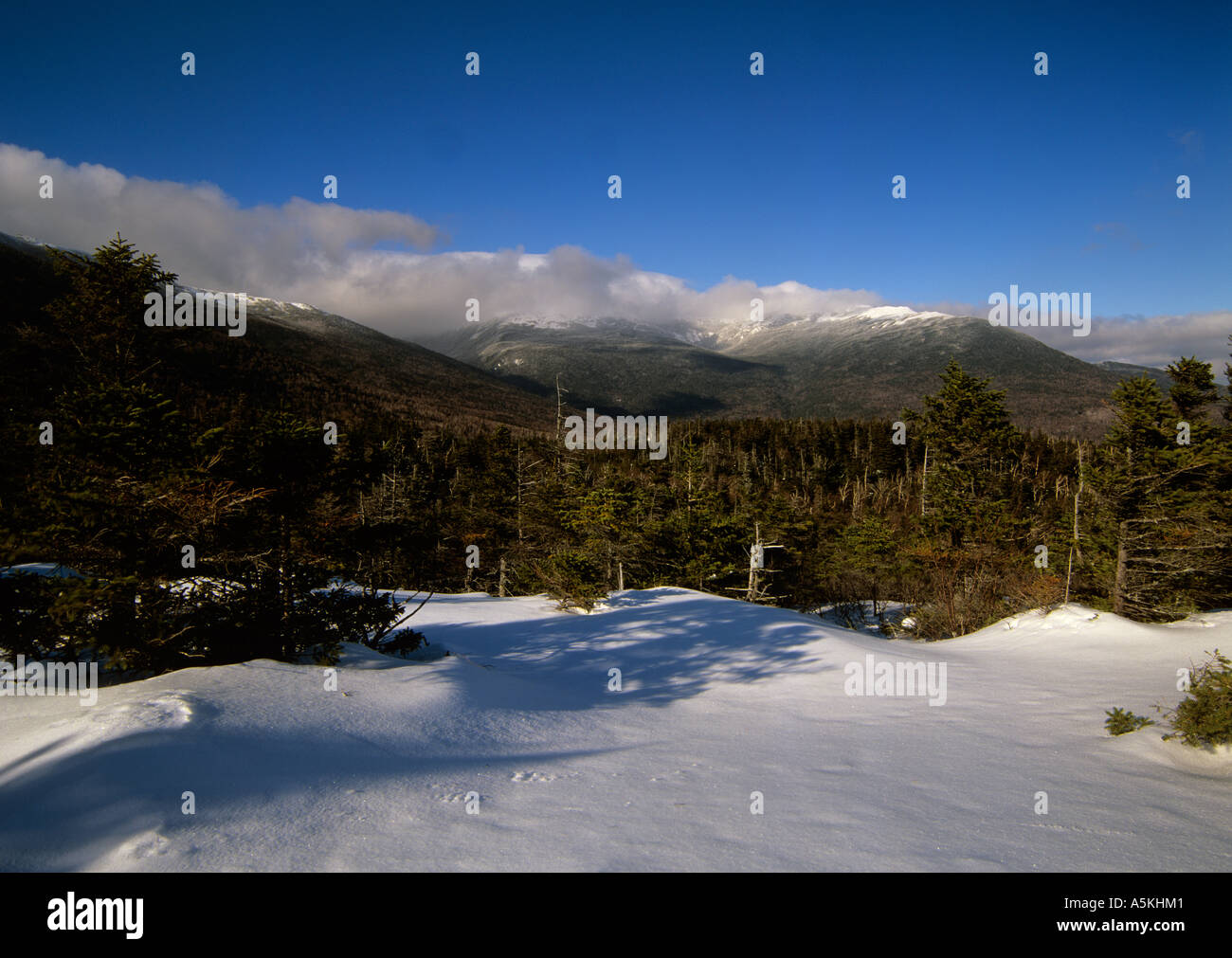 White Mountain National Forest NH New Hampshire appalachian trail Stock ...