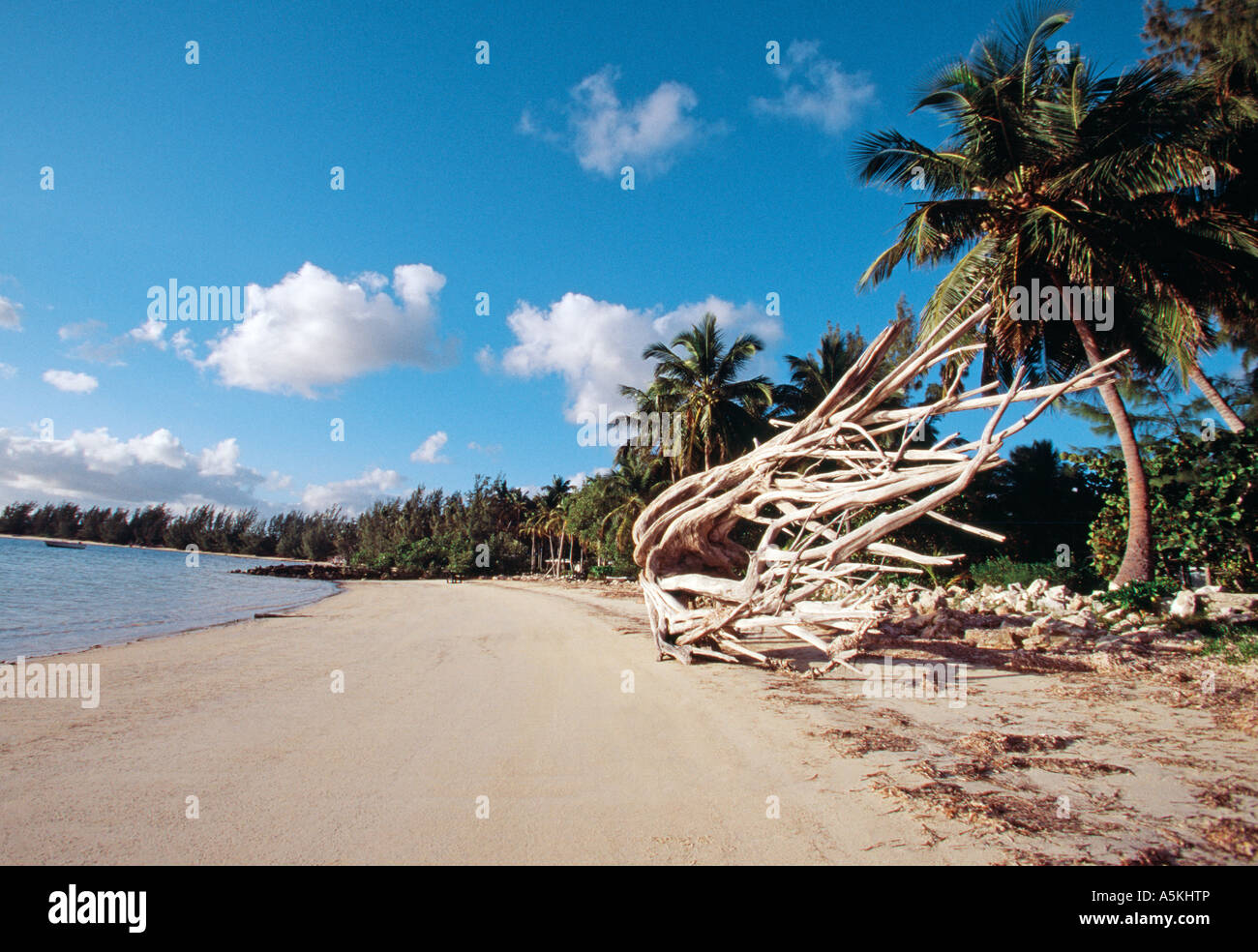 Andros island the bahamas hi-res stock photography and images - Alamy