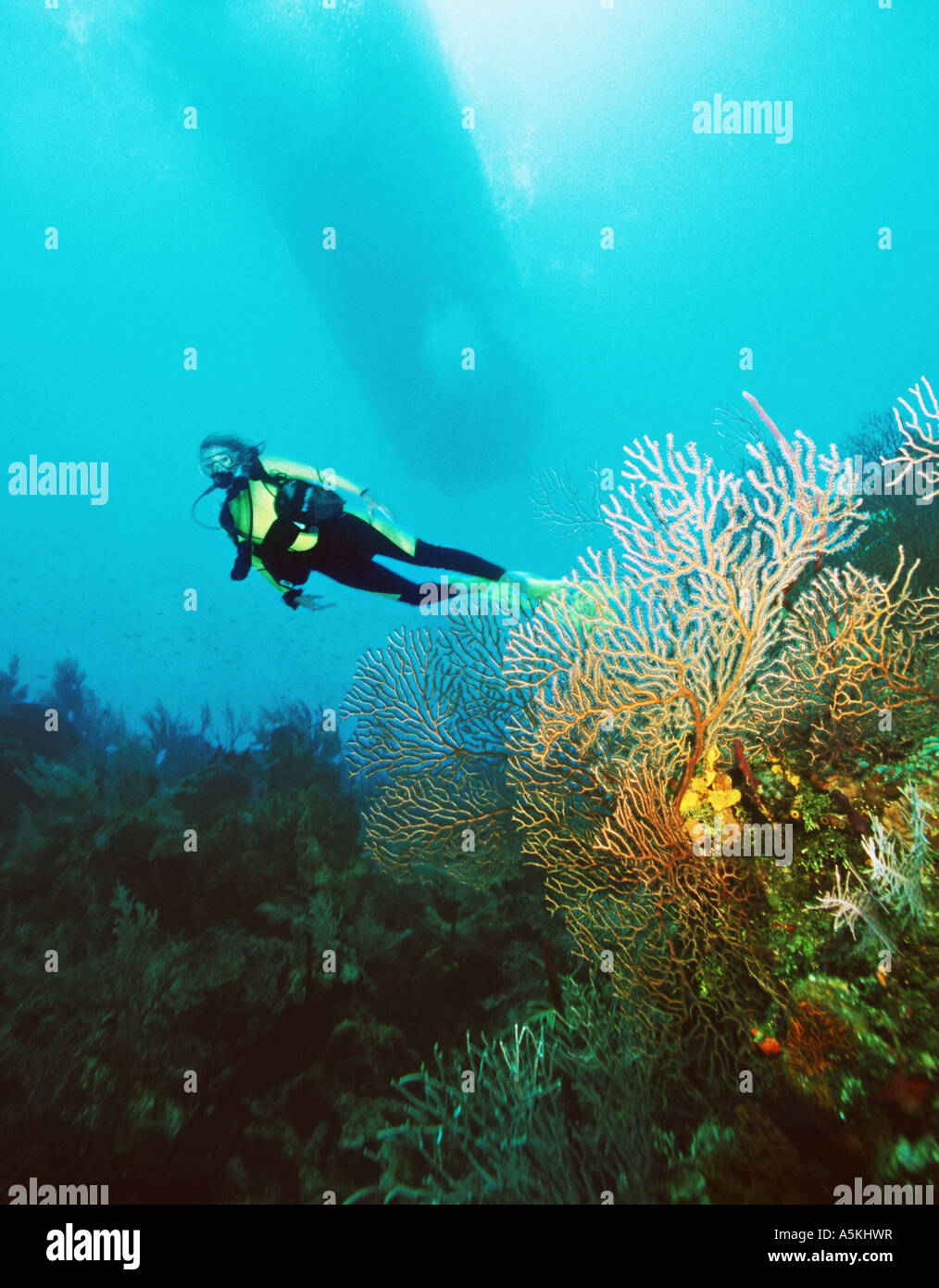 Scuba diver with boat on surface Stock Photo - Alamy