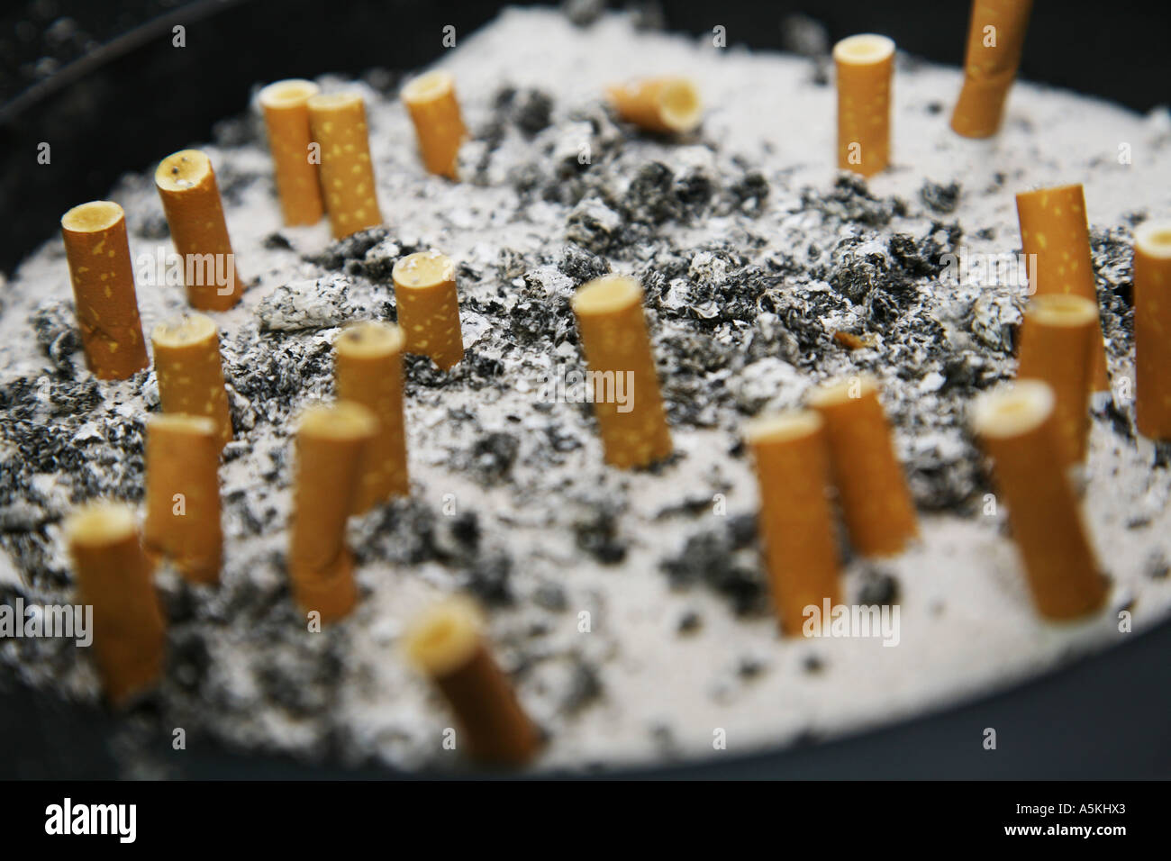 Ash tray full butts hi-res stock photography and images - Alamy