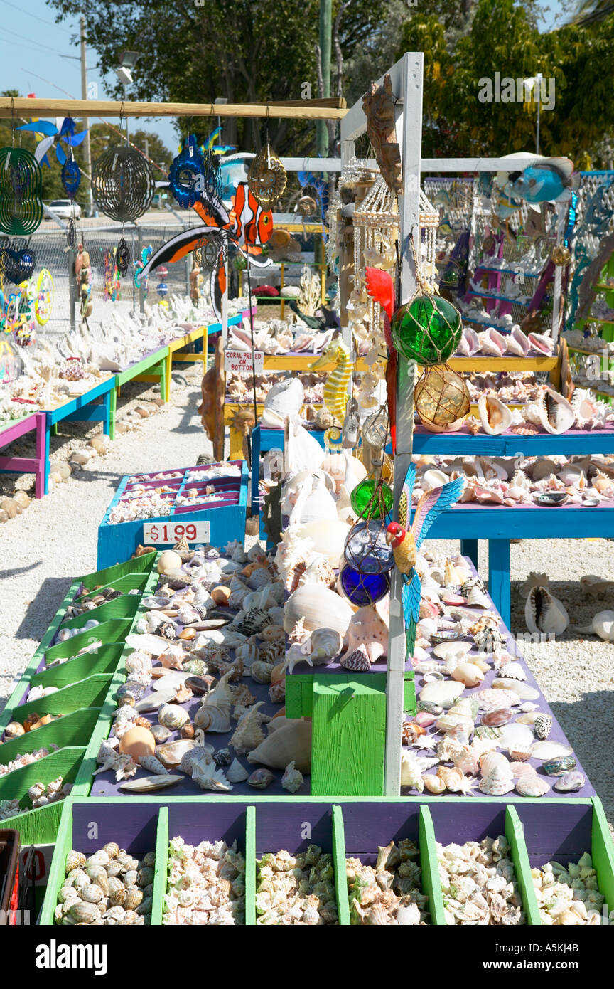 Florida Keys sea shell souvenir shop Stock Photo - Alamy