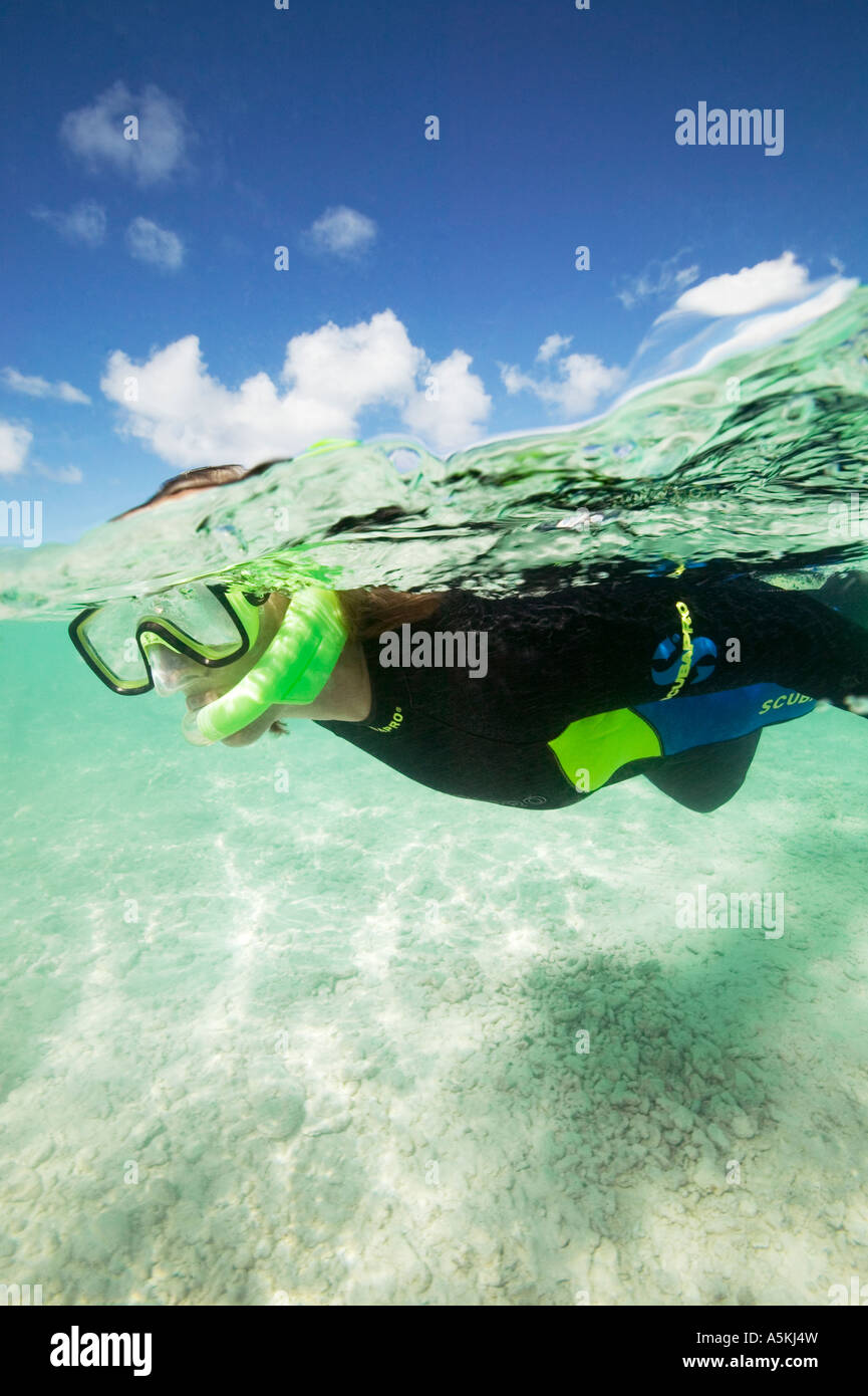 Under over views in shallow water at Toau Atoll French Polynesia Stock ...