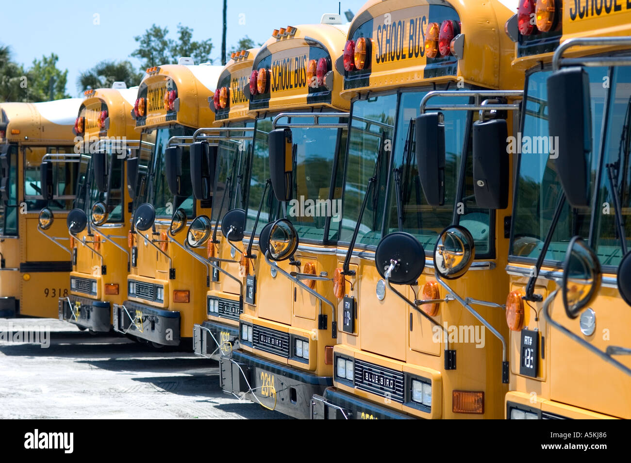 School Buses At Beach High Resolution Stock Photography and Images - Alamy