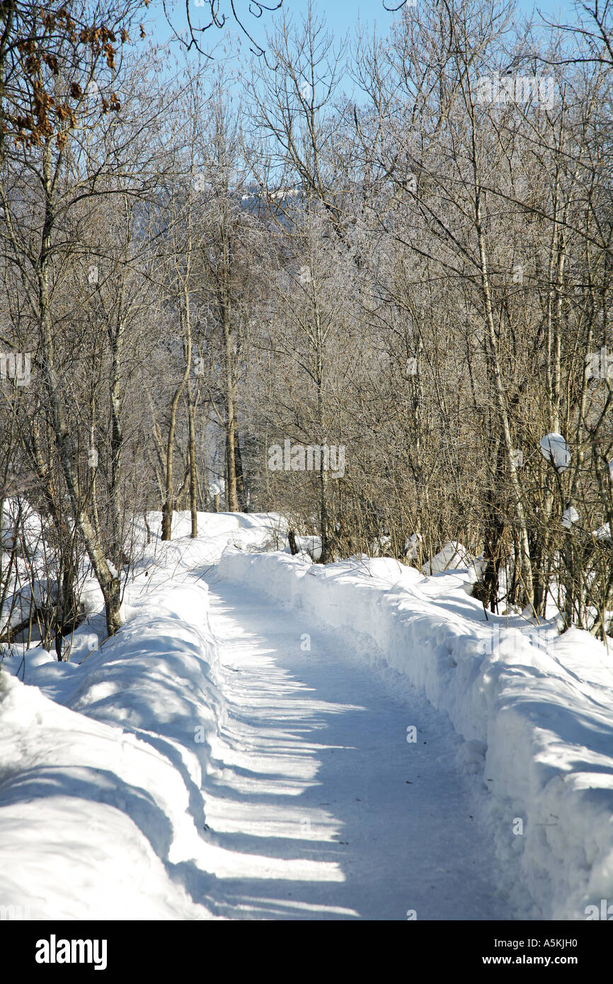 Path in the snow Stock Photo - Alamy
