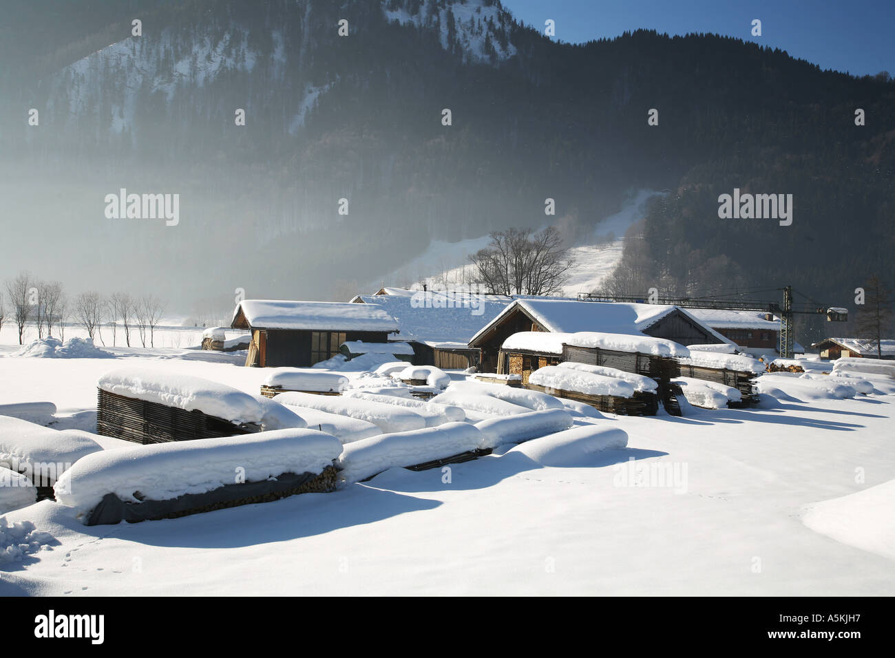 Sawmill lumber hi-res stock photography and images - Alamy