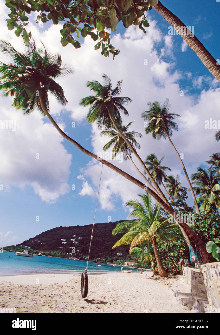 BVI Tortola Cane Garden Bay palm tree and tire swing in front of ...
