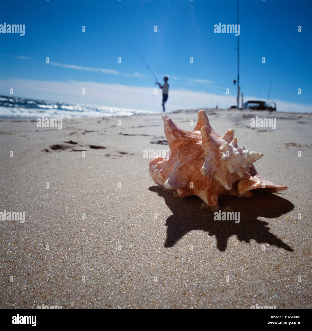 NC Outer Banks oceanfront shell on beach with fisherman in background ...