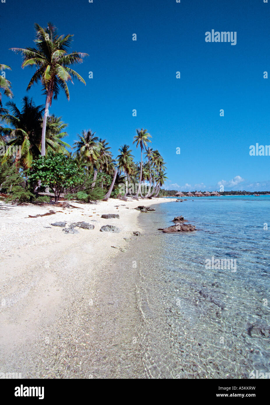 French Polynesia Rangiroa Kia Ora Village Beach scenic with palms Stock ...