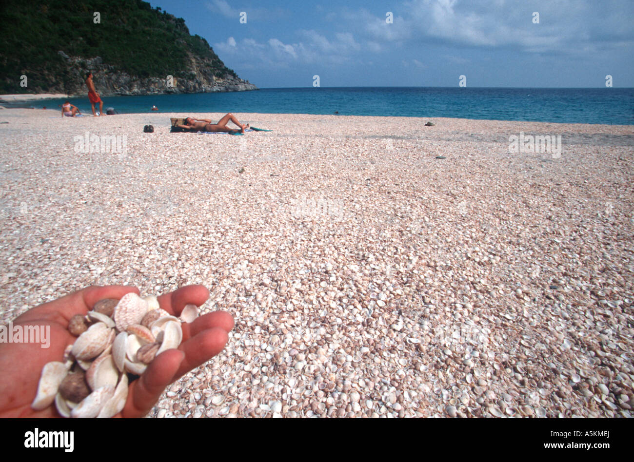 St Barts Shell Beach handfull of shells Stock Photo - Alamy