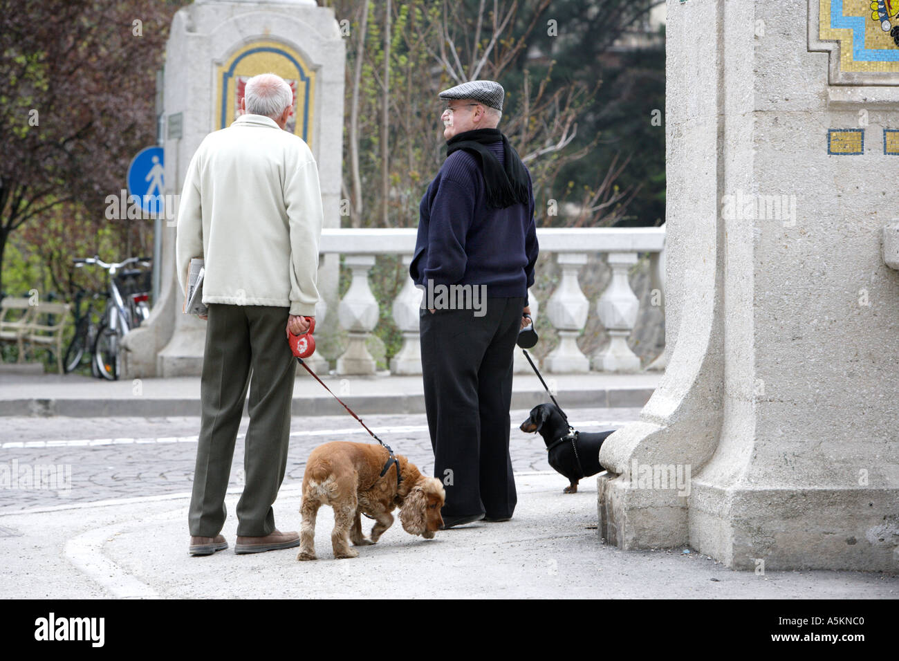 Two men walking dogs hi-res stock photography and images - Alamy