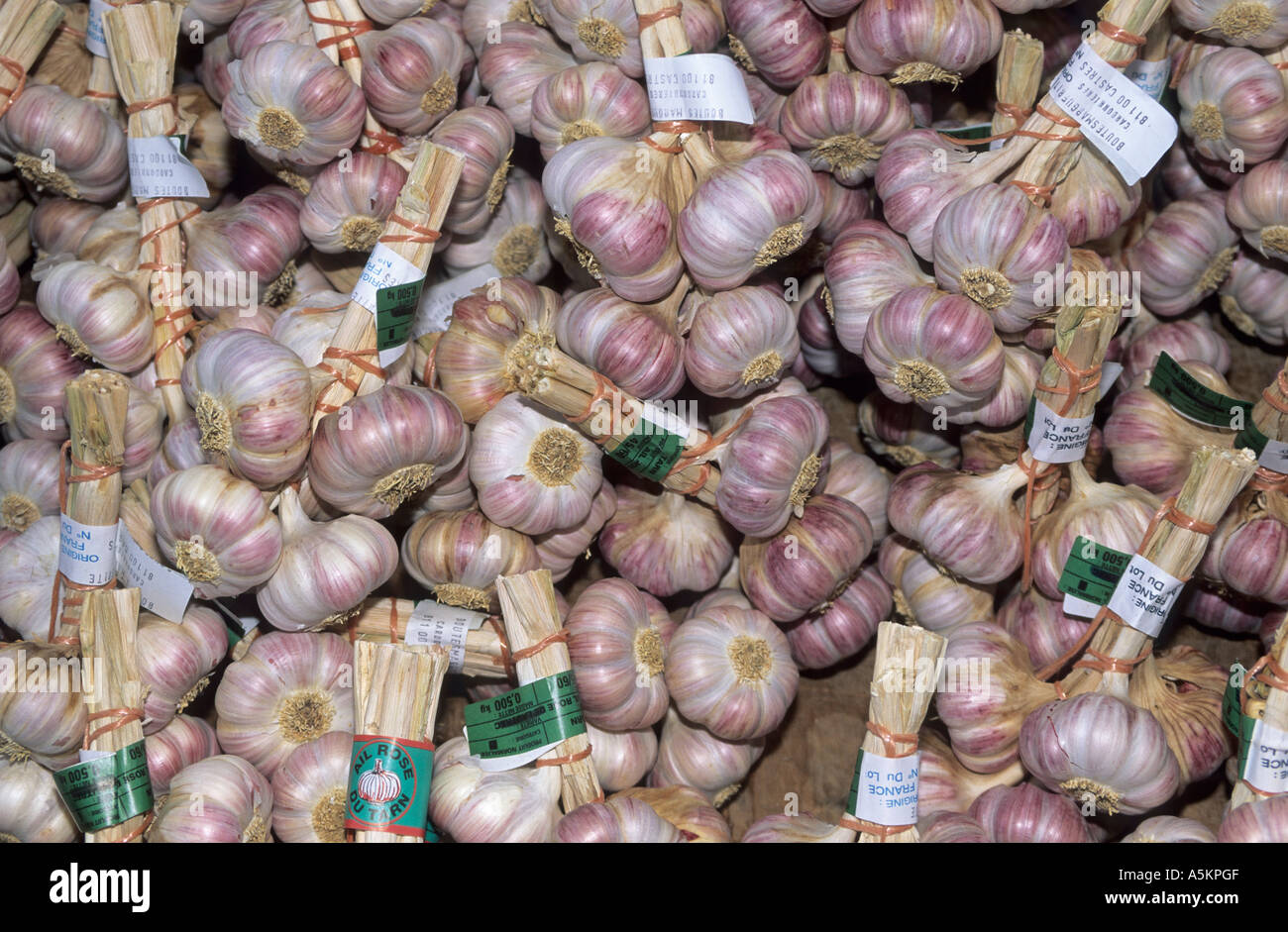 French garlic, Provence, France Stock Photo - Alamy