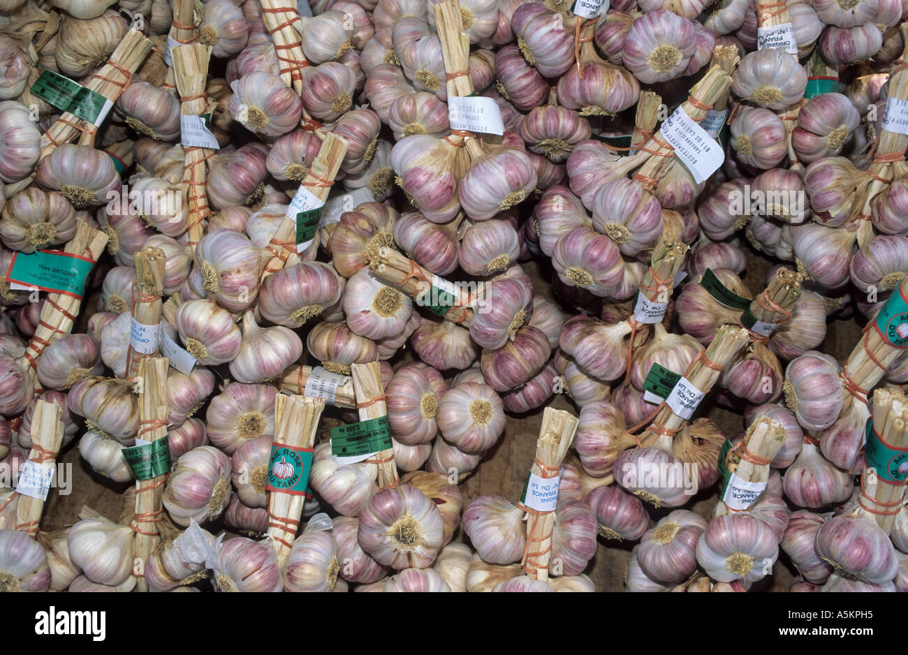 French garlic, Provence, France Stock Photo - Alamy