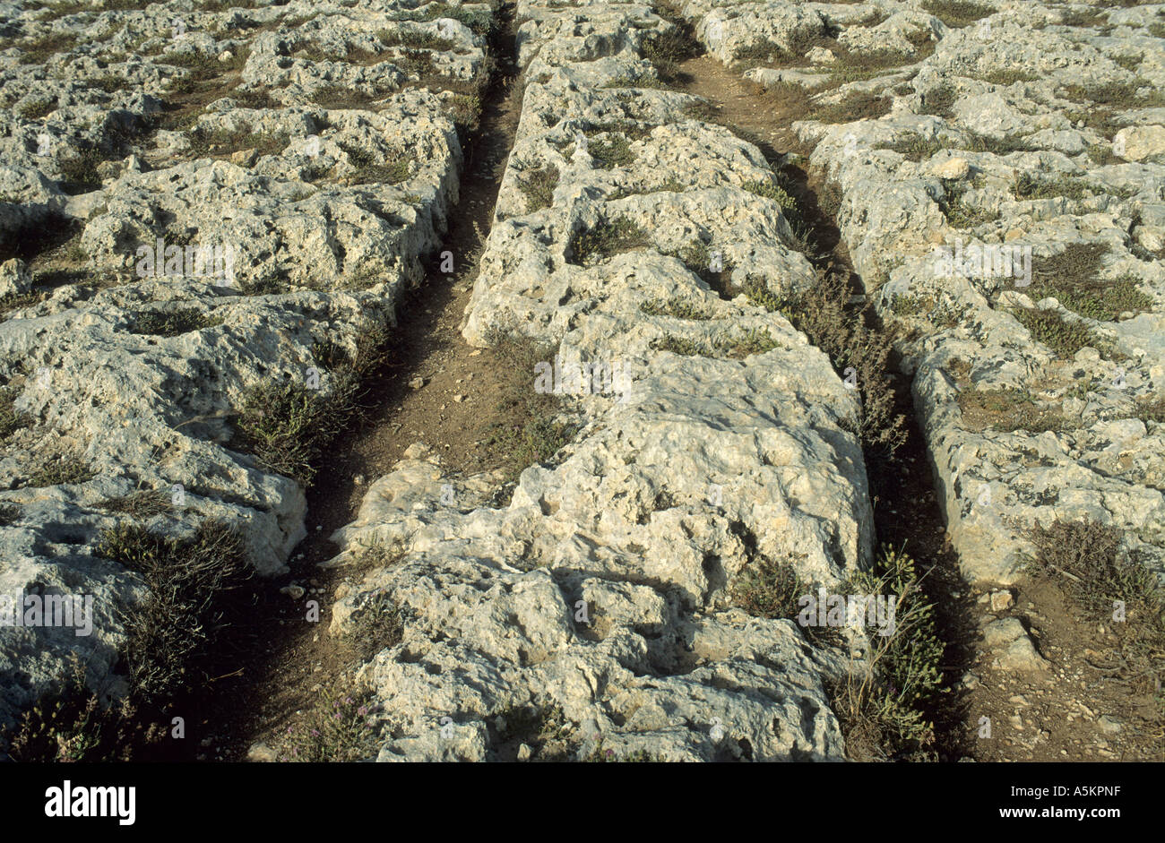 Clapham Junction Cart Ruts, Malta Stock Photo - Alamy