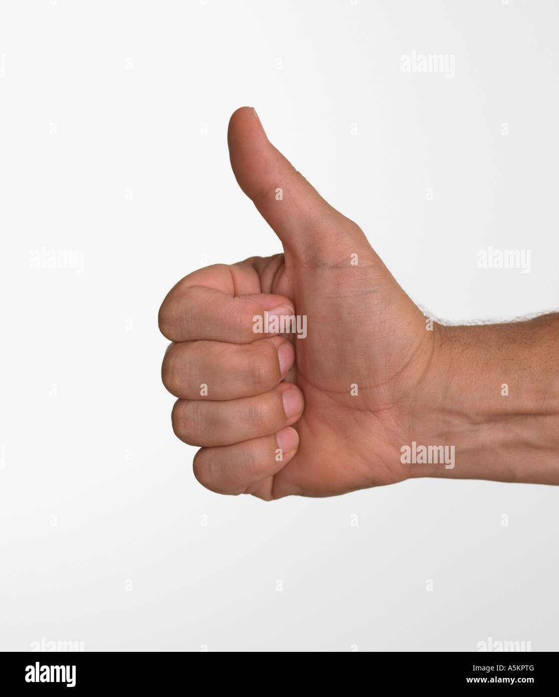 Studio shot of man s hand giving thumbs up Stock Photo - Alamy