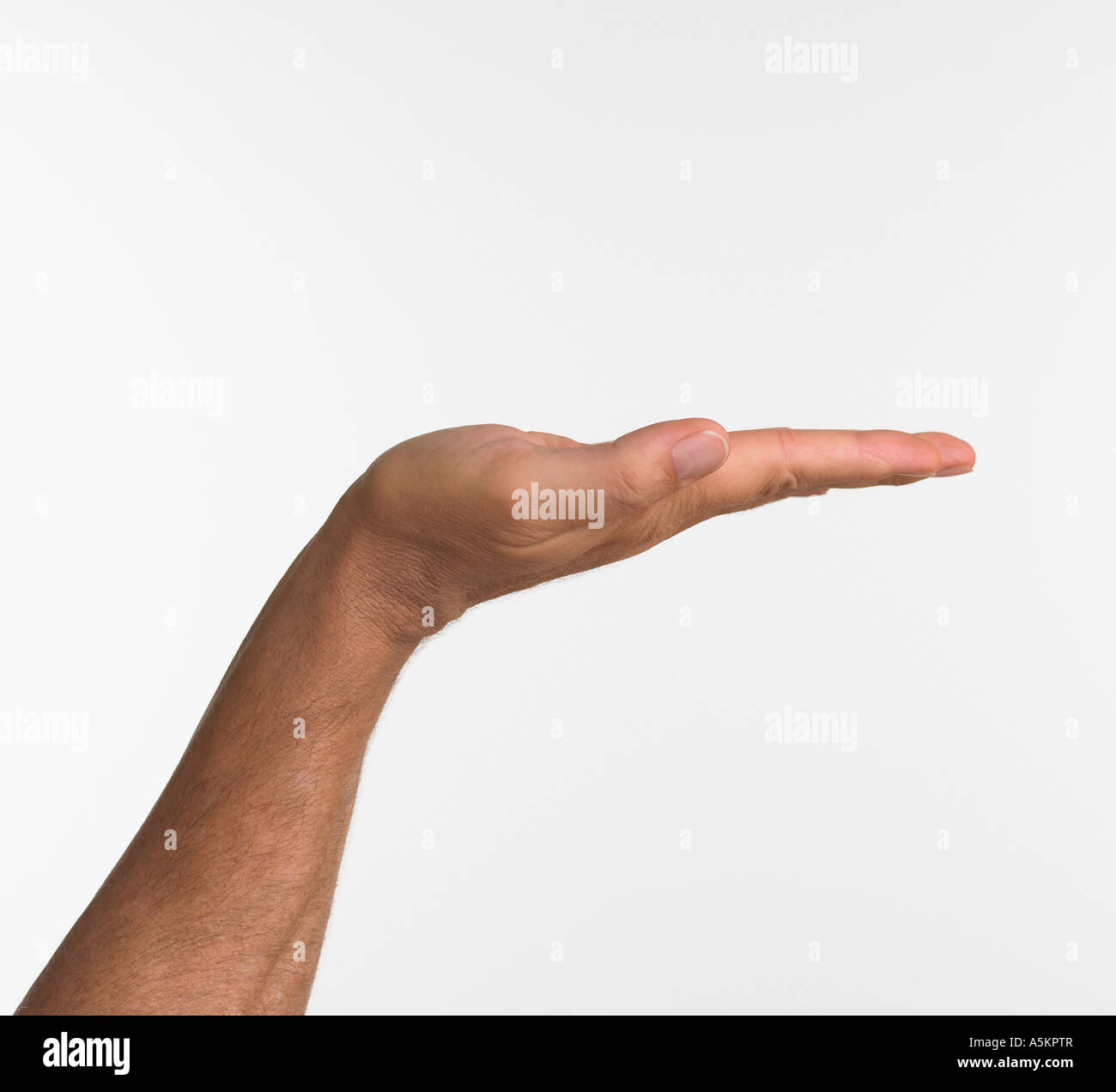 Studio shot of man s hand with palm up Stock Photo - Alamy