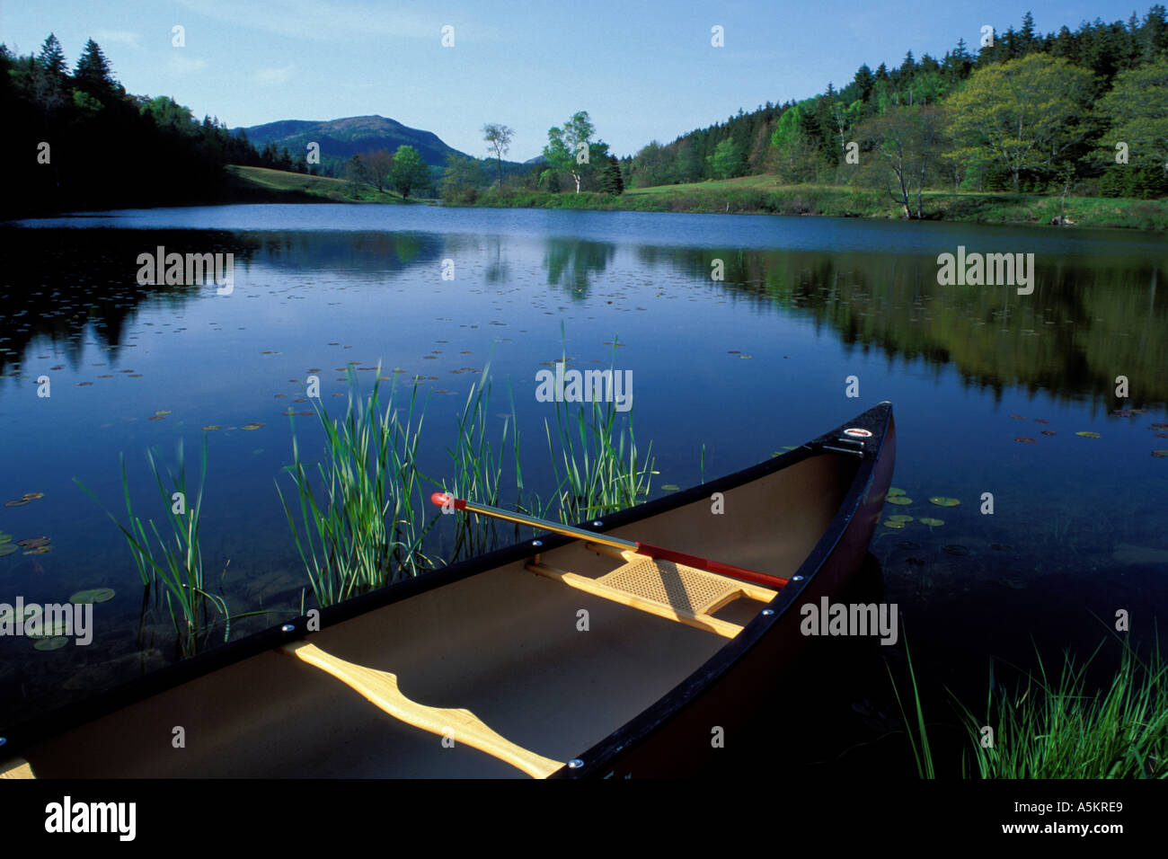 Empty canoe on still water Stock Photo - Alamy