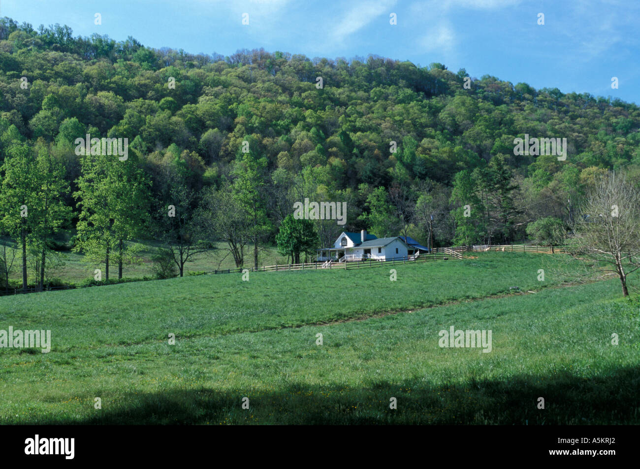 A small farmhouse and adjoining fields are nestled in the peaceful Blue ...