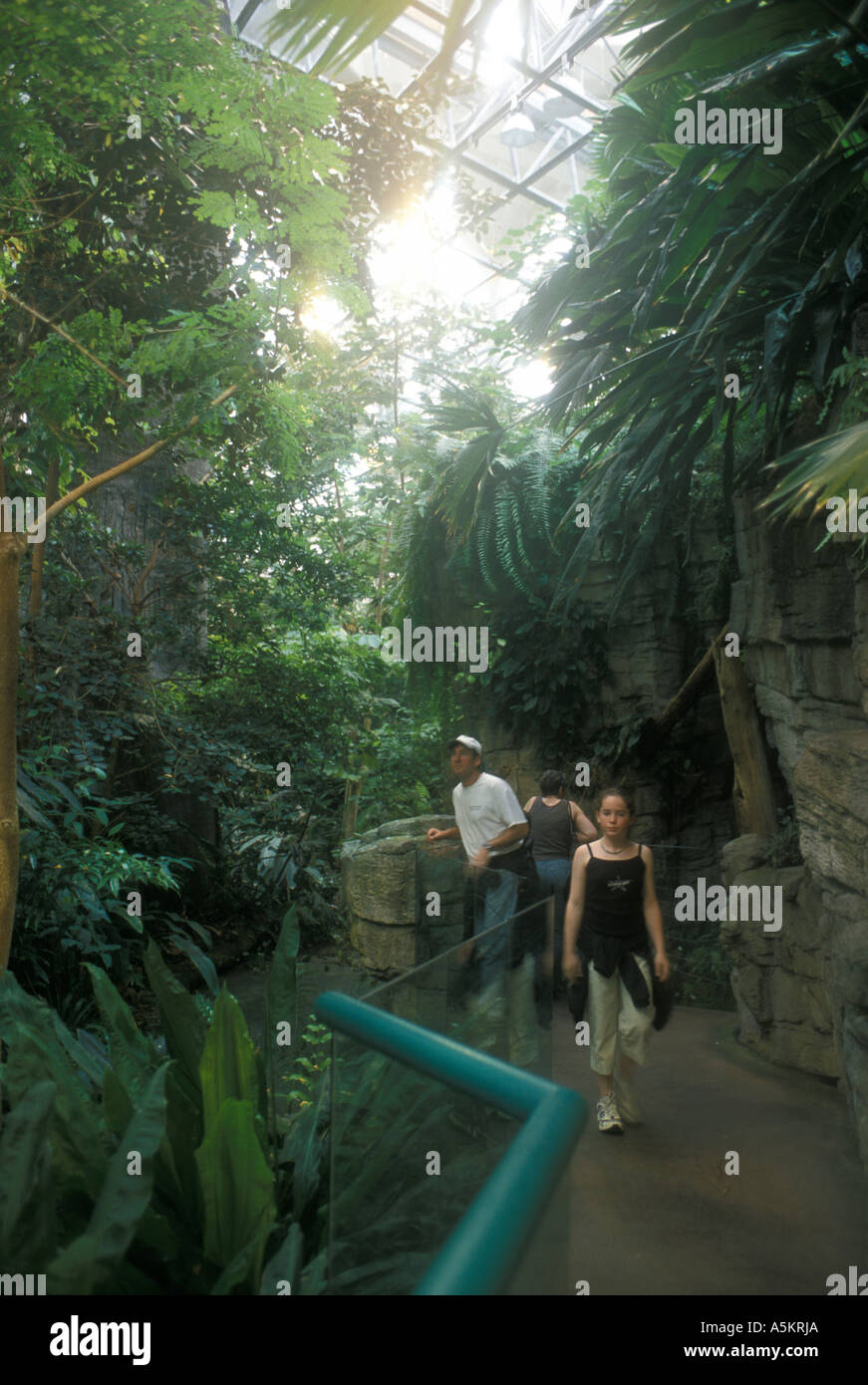 People are wondering around the Biodome misty tropical rainforest in ...