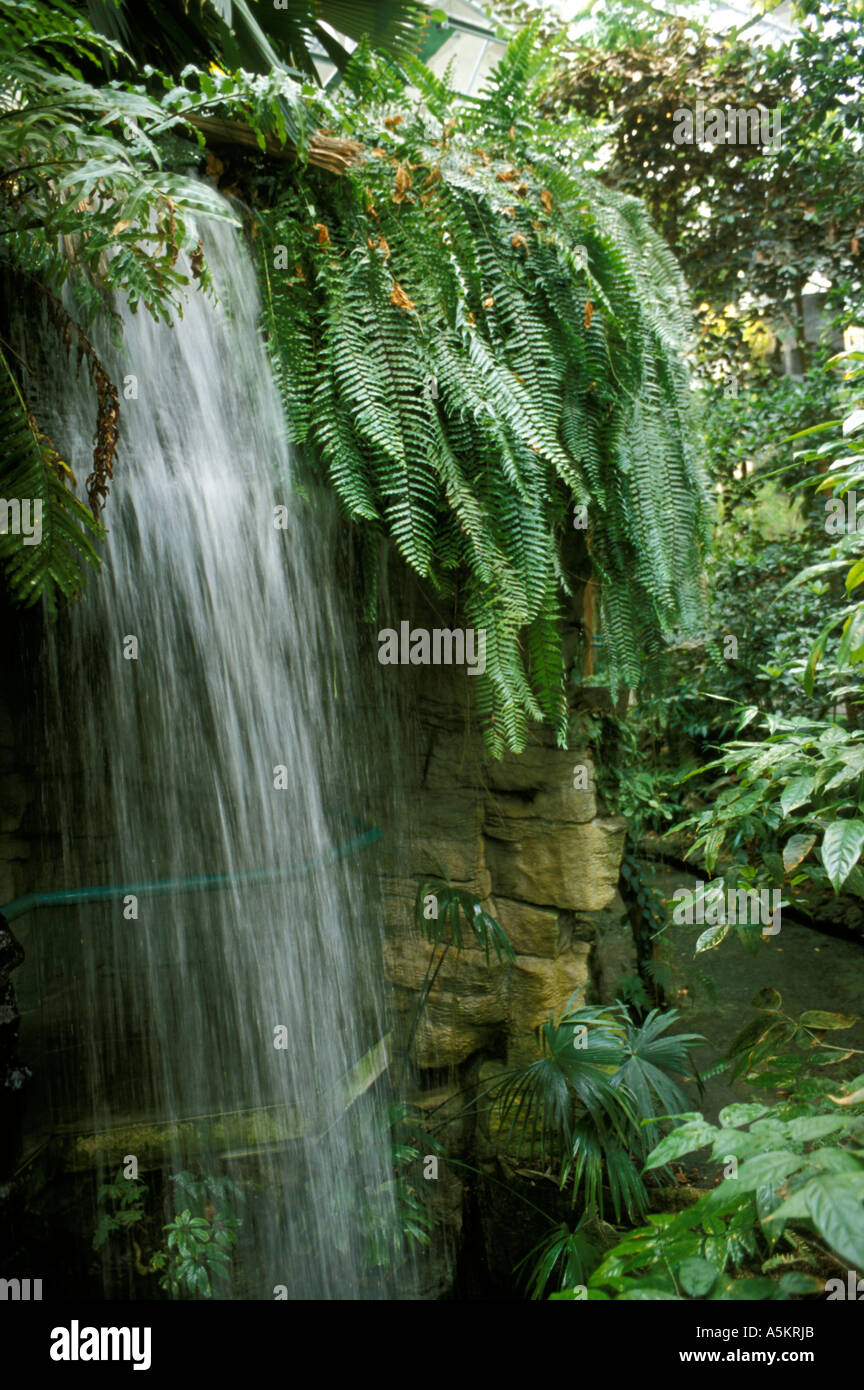 Water flows over the rocks and ferns in a display at the Biodome ...