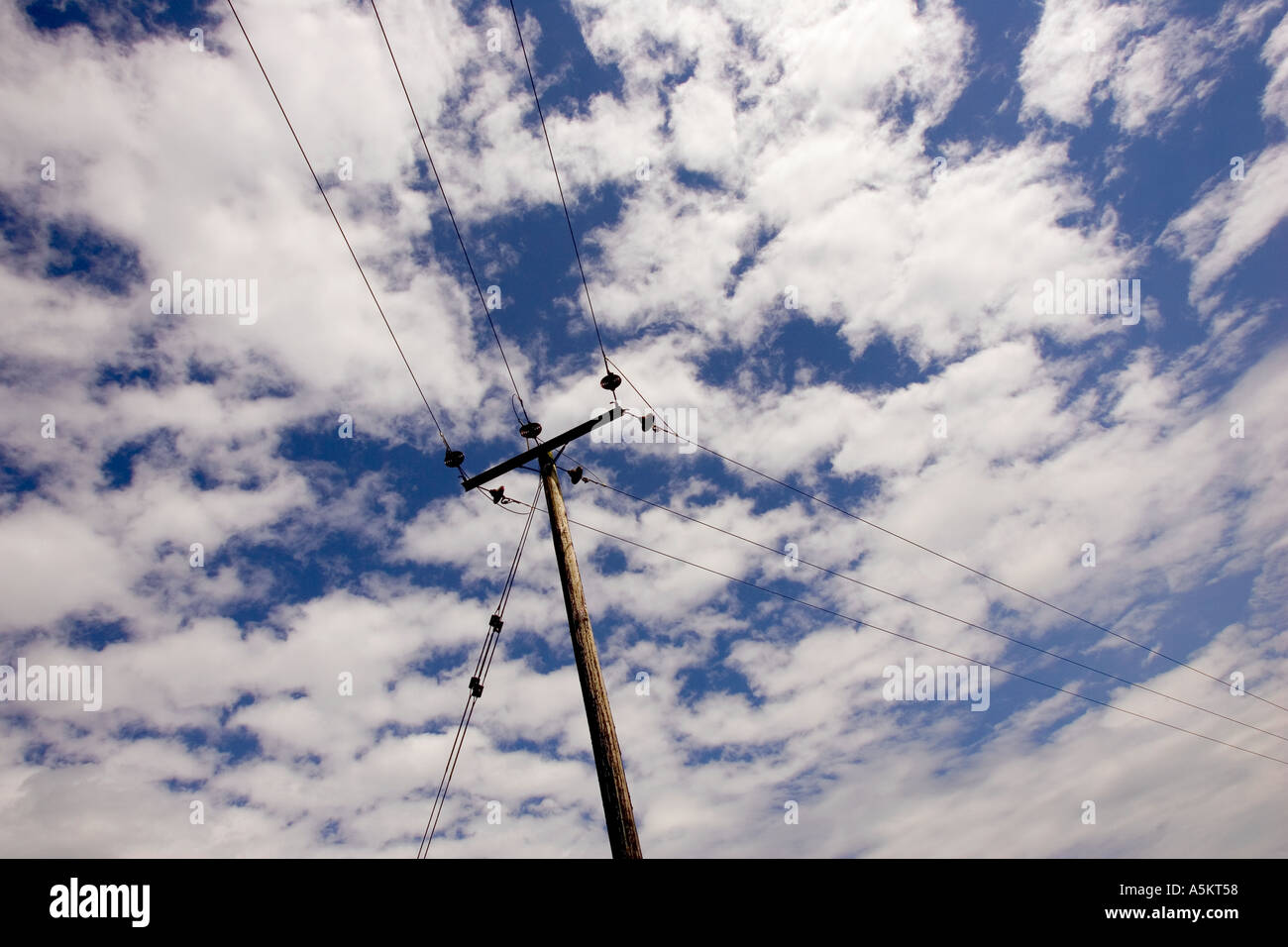 Telephone telegraph wires in the countryside Stock Photo - Alamy