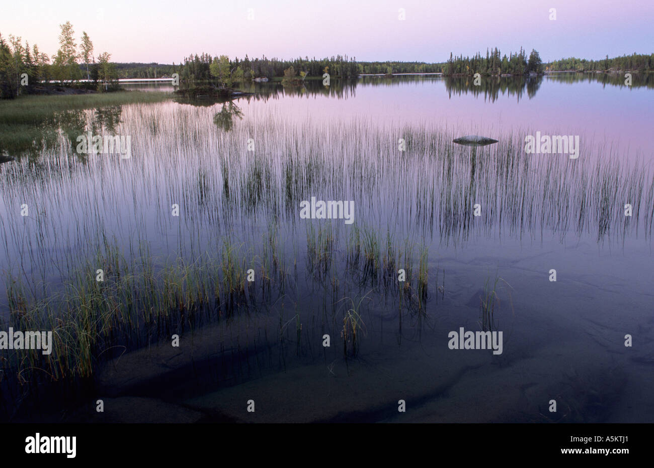 Lake in evening light, Ingraham trail, Northwest Territories, Canada ...