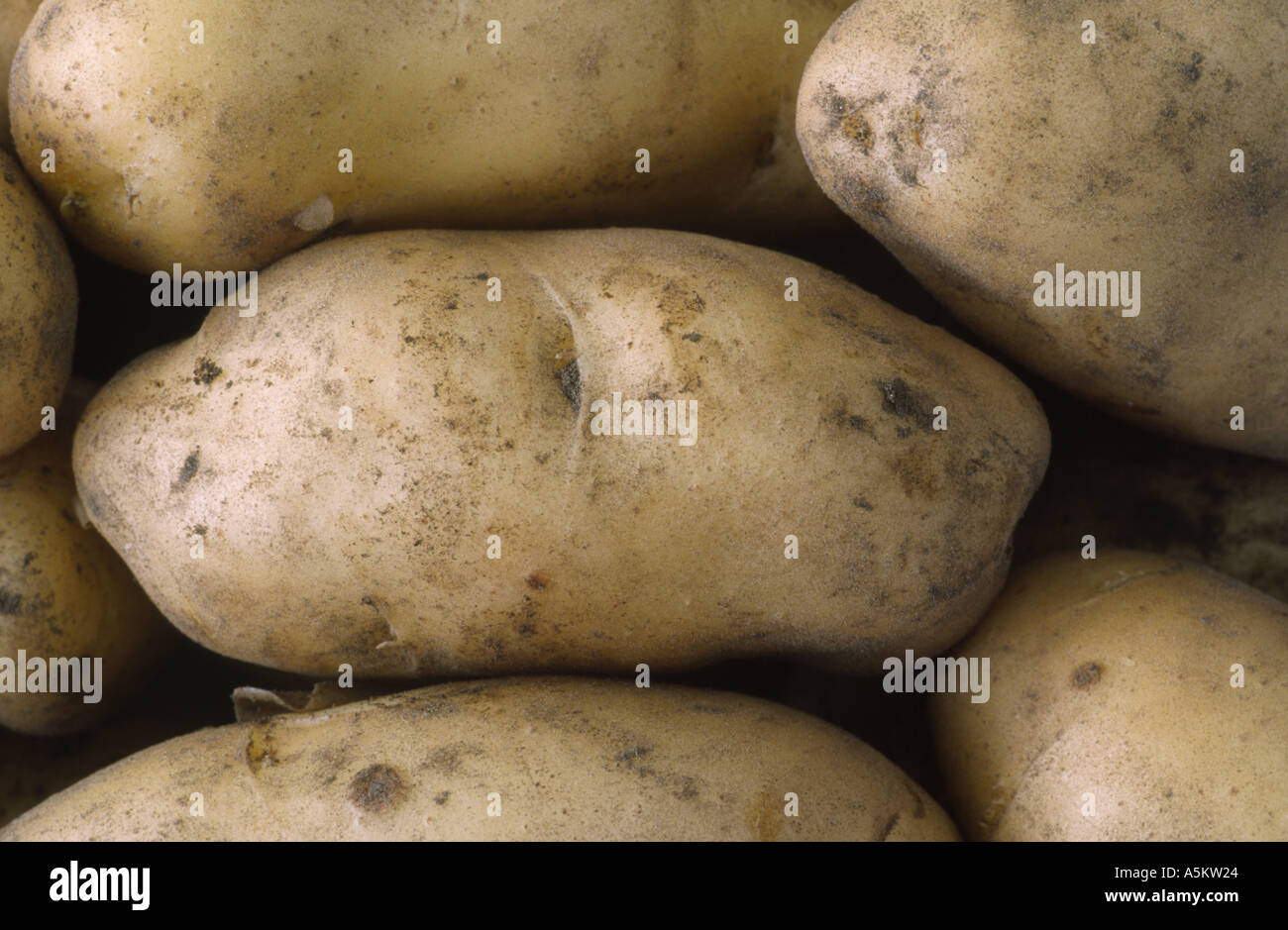 First early potatoes hi-res stock photography and images - Alamy