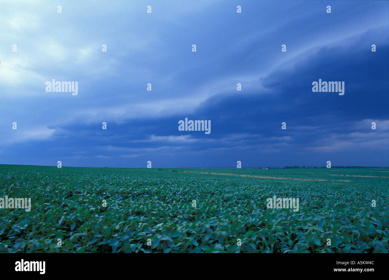 Huge clouds over fields hi-res stock photography and images - Alamy