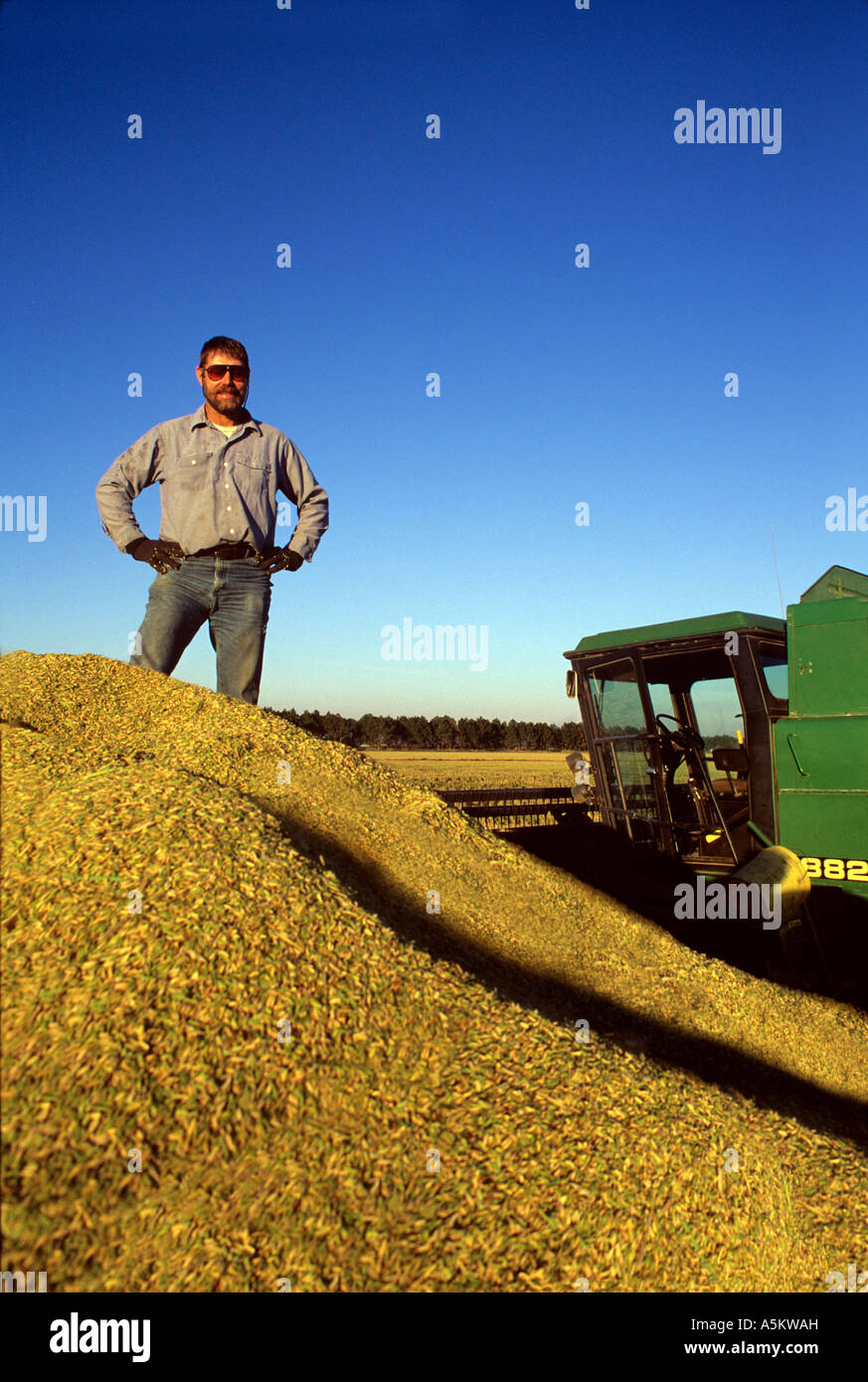 A South Louisiana rice farmer with his harvest Stock Photo - Alamy