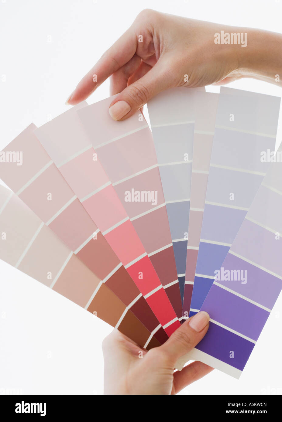 Close up of woman comparing paint swatches Stock Photo - Alamy