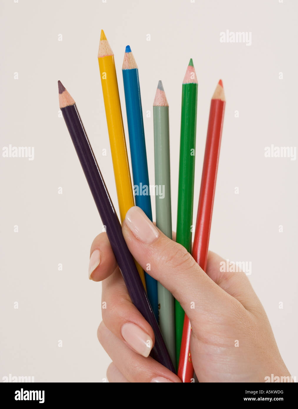 Hand holding colored pencils close up hi-res stock photography and ...