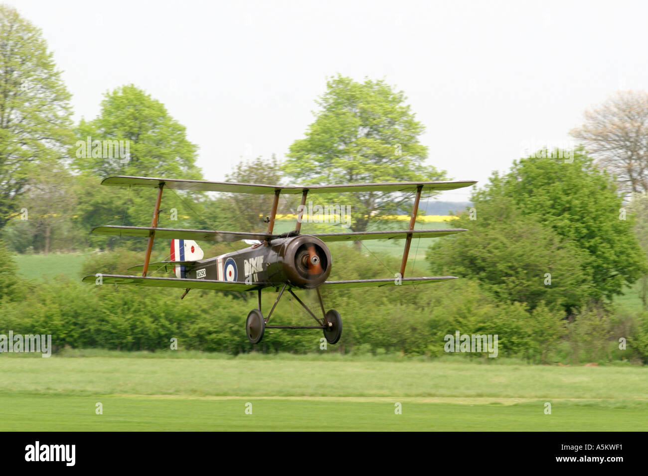 1916 Sopwith Triplane N6290 G BOCK Stock Photo - Alamy