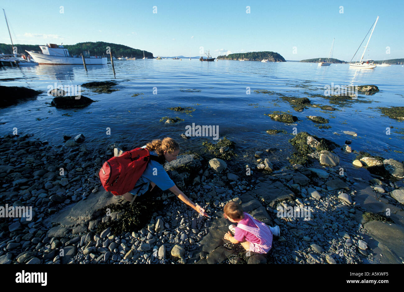 Mother and daughter explore tidal pools Stock Photo - Alamy