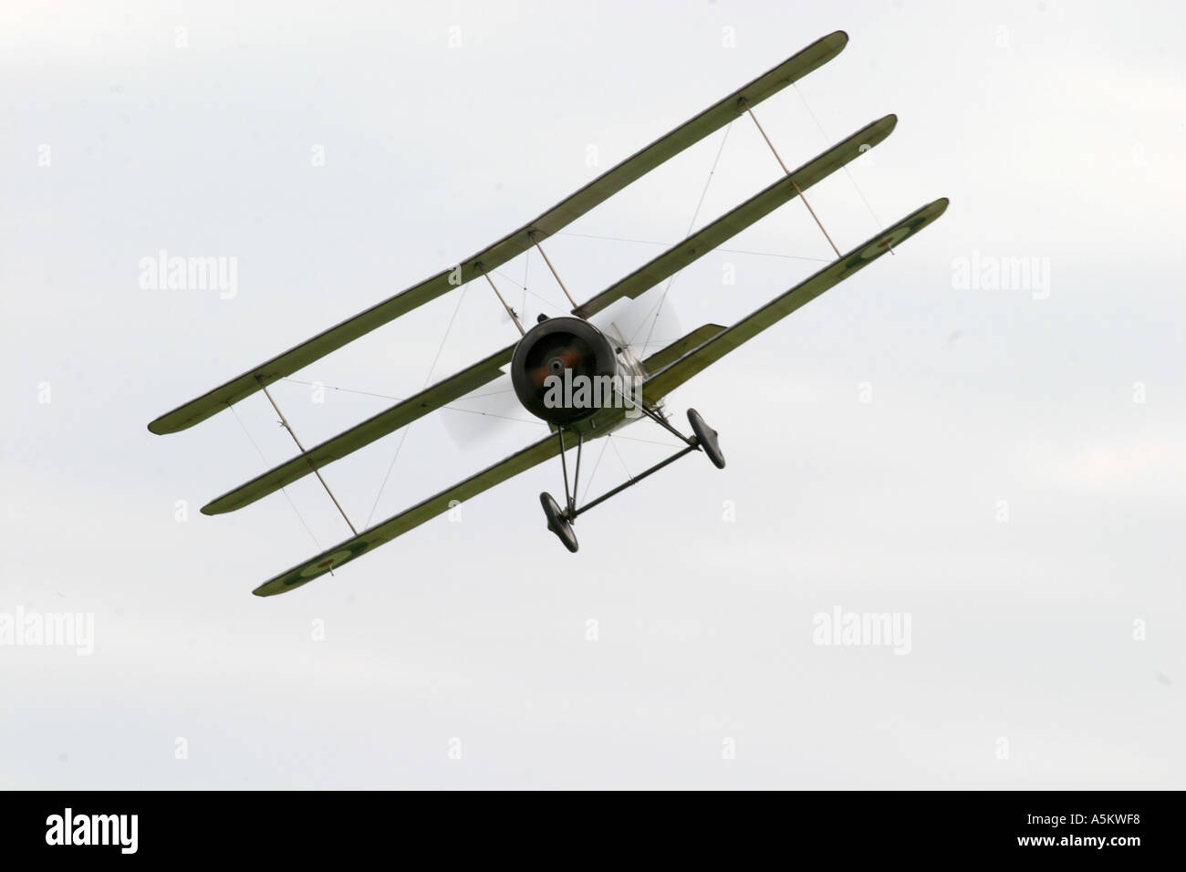 G bock hi-res stock photography and images - Alamy