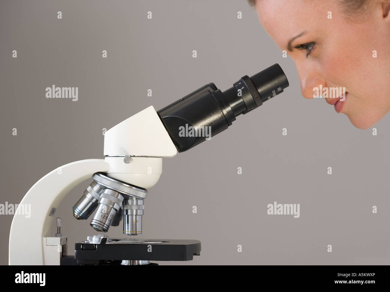 Female scientist looking in microscope Stock Photo - Alamy
